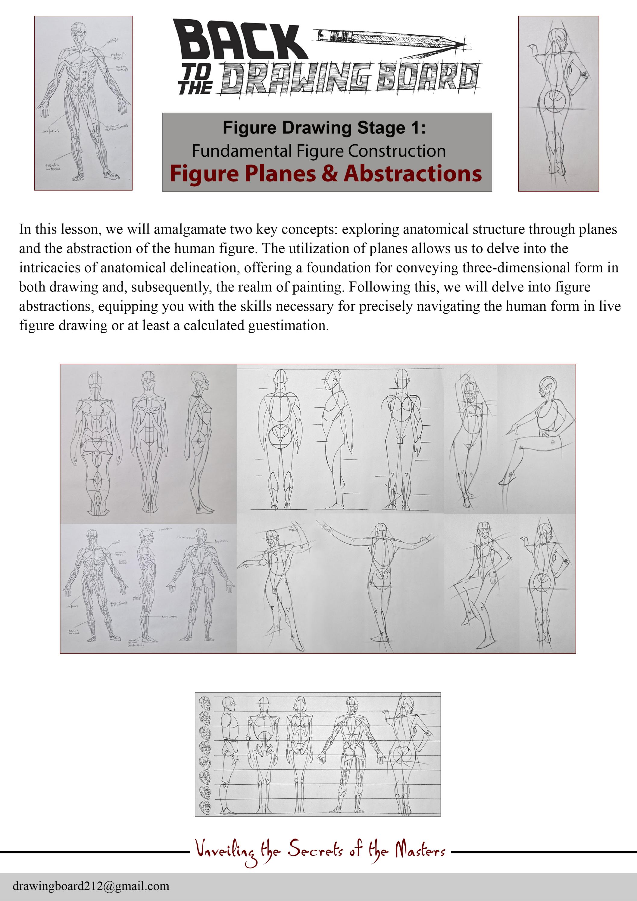 Back To The Drawing Board - Figure Drawing Stage 1 - Figure Planes ...