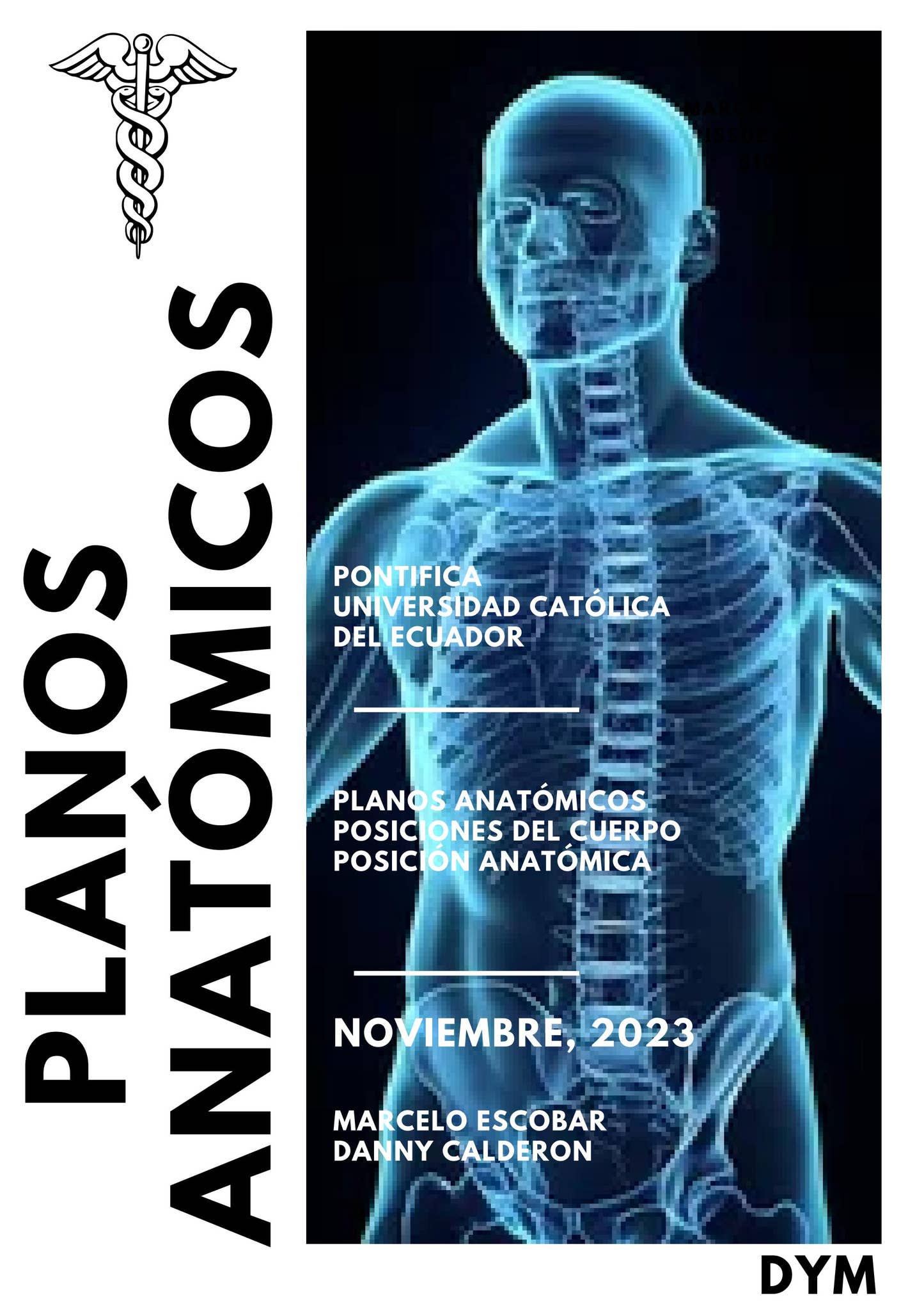 Planos anatómicos by Génesis Chacón - Issuu