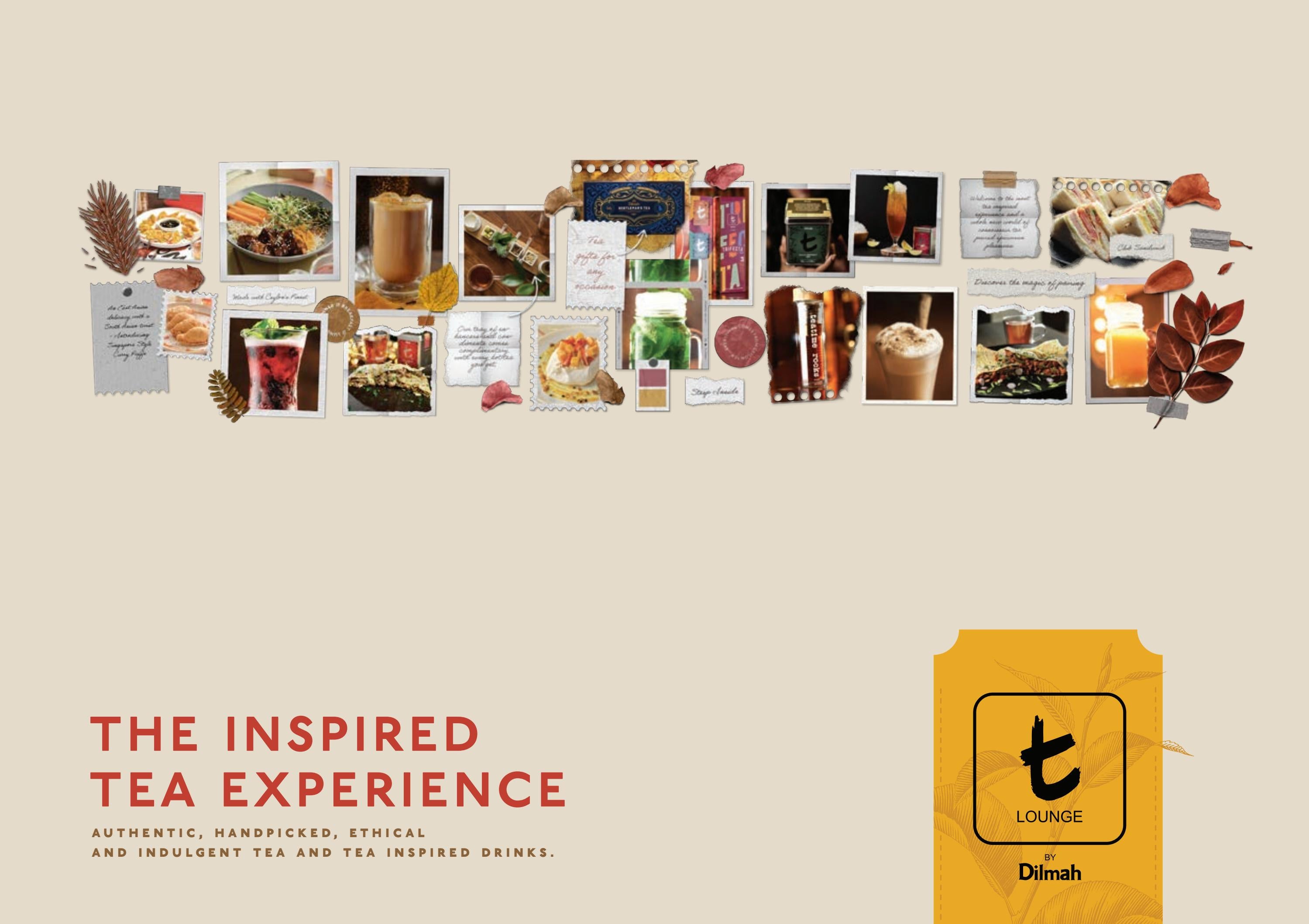 t-Lounge by Dilmah Concept by T Lounge - Issuu