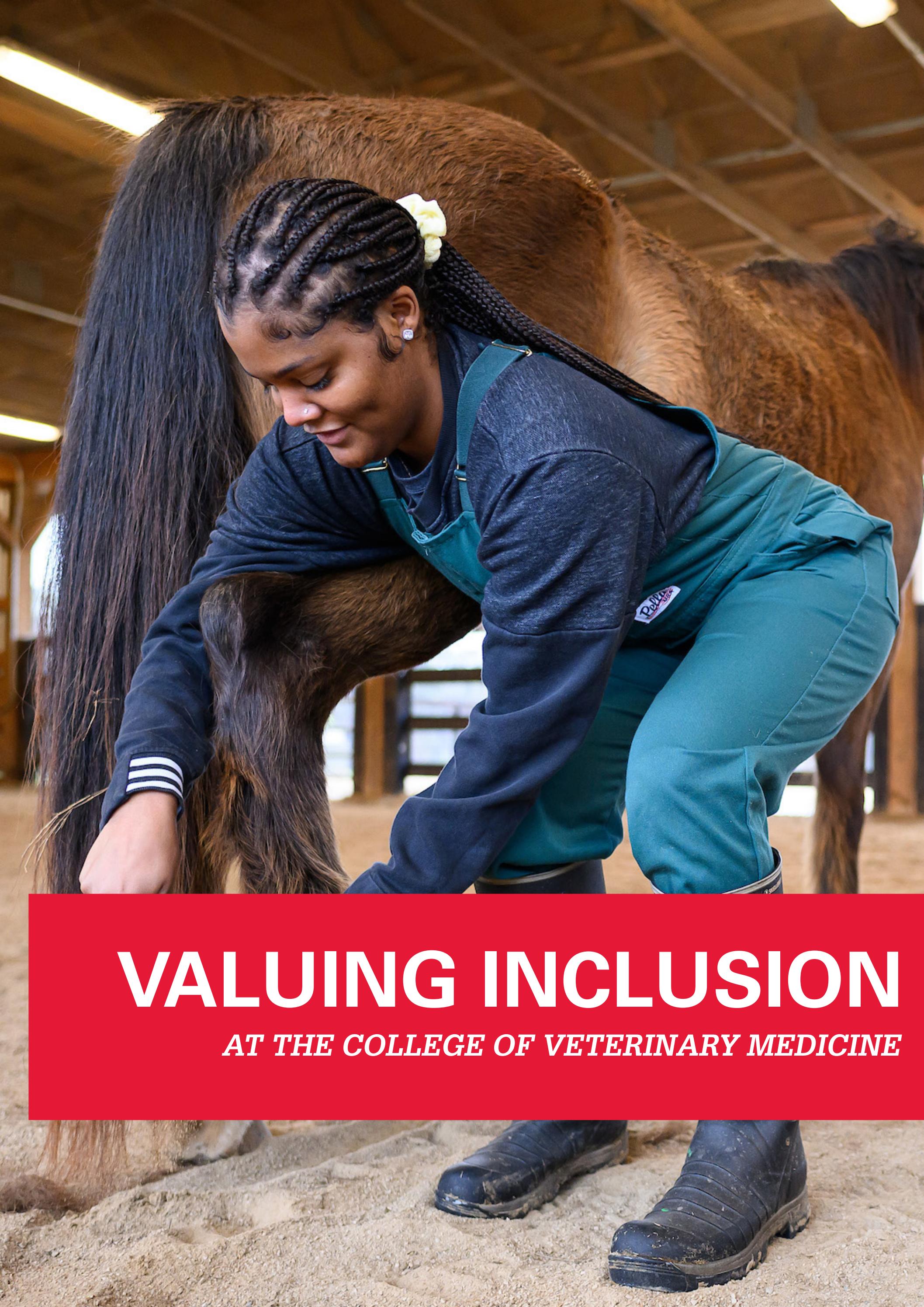 Valuing Inclusion Booklet by NC State Veterinary Medicine - Issuu