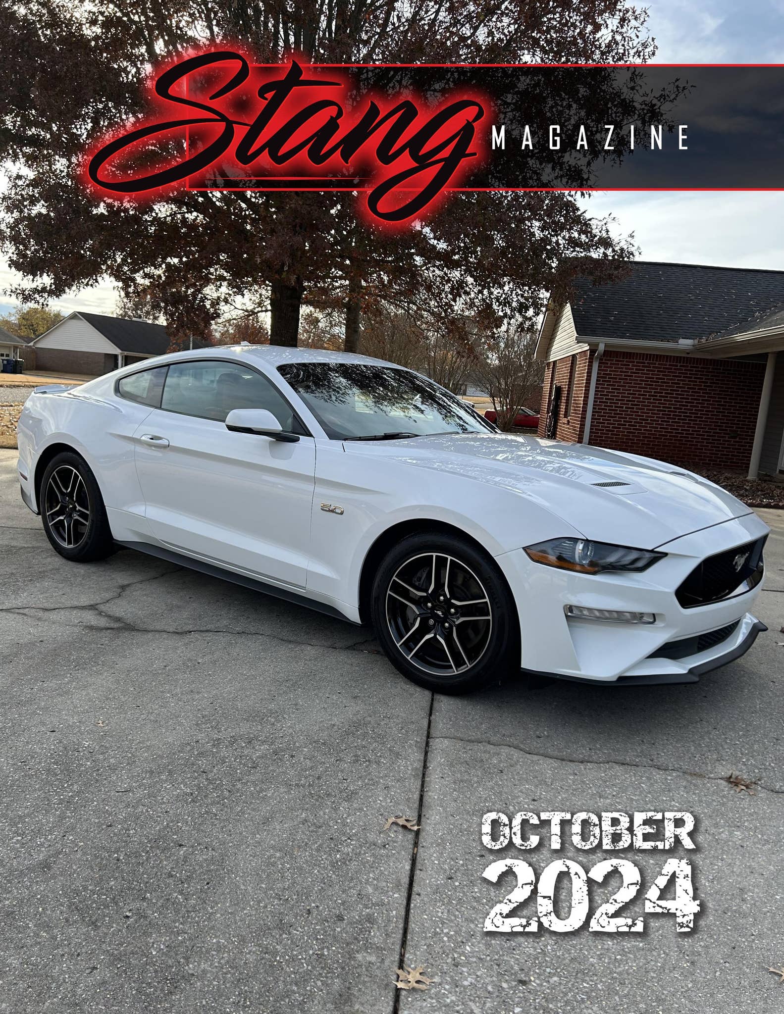 STANG Magazine October 2024 Issue by STANG Magazine - Issuu