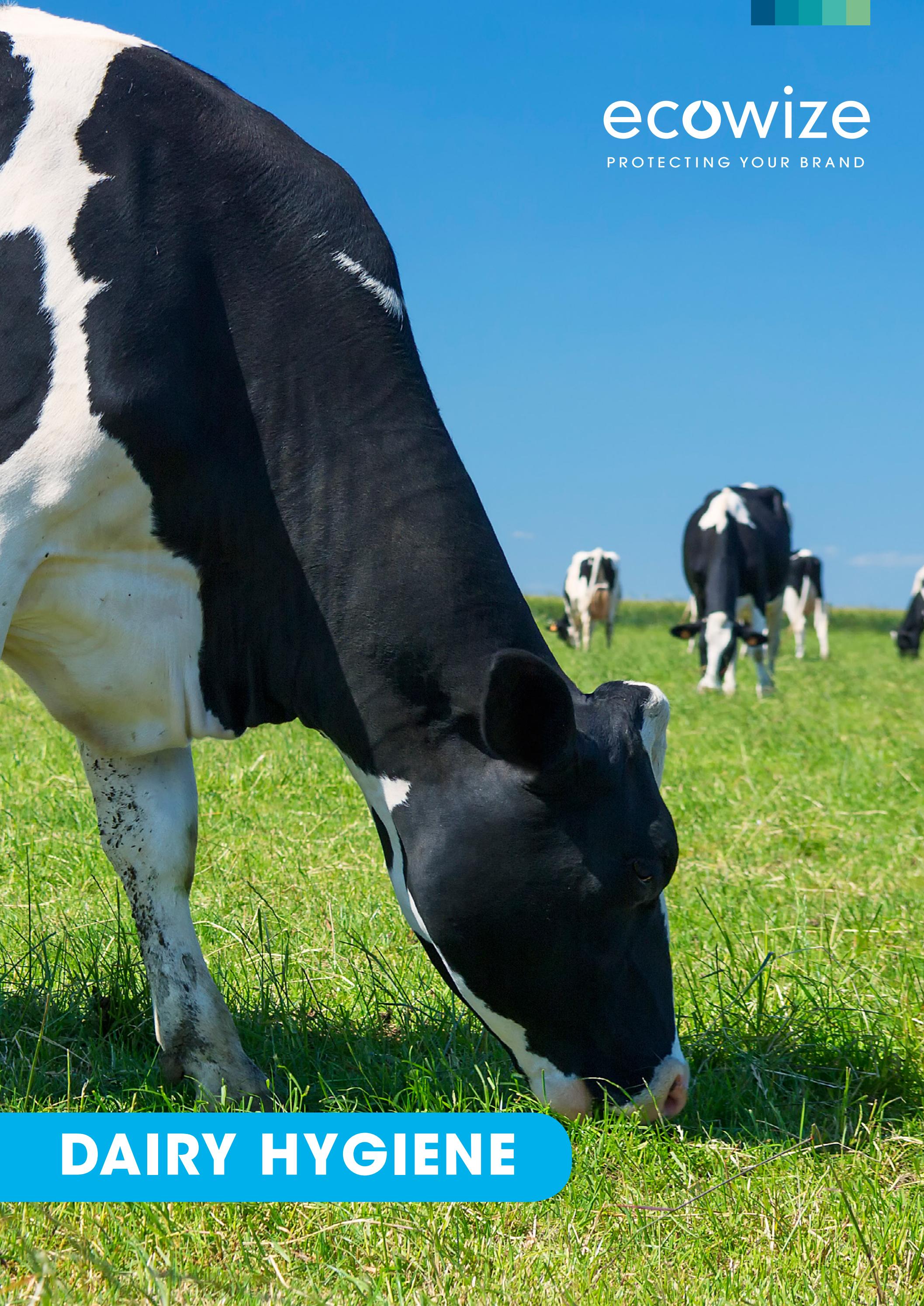 Ecowize - Dairy Catalogue by EcowizeSA - Issuu