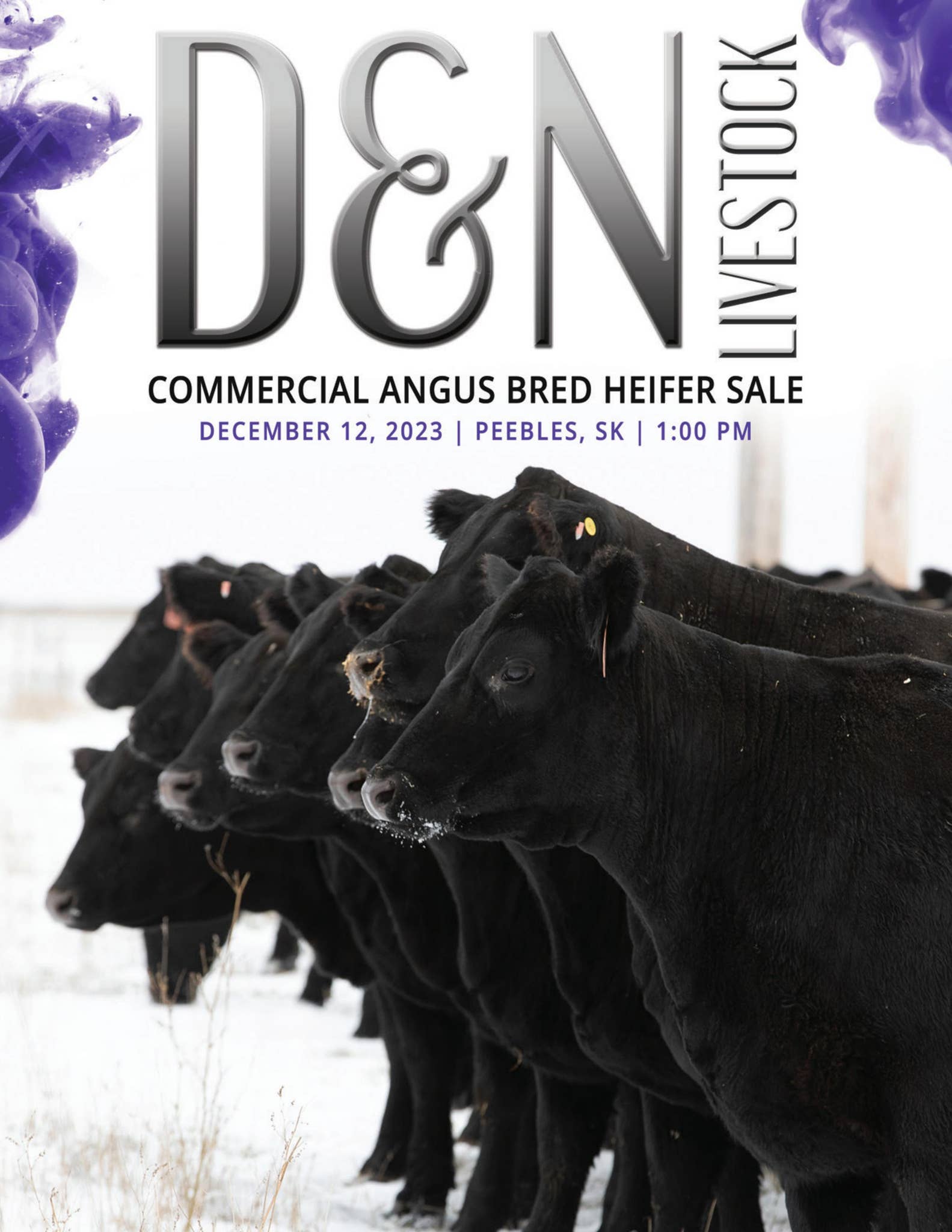 D&N LIVESTOCK COMMERCIAL ANGUS BRED HEIFER SALE by Today's Publishing ...