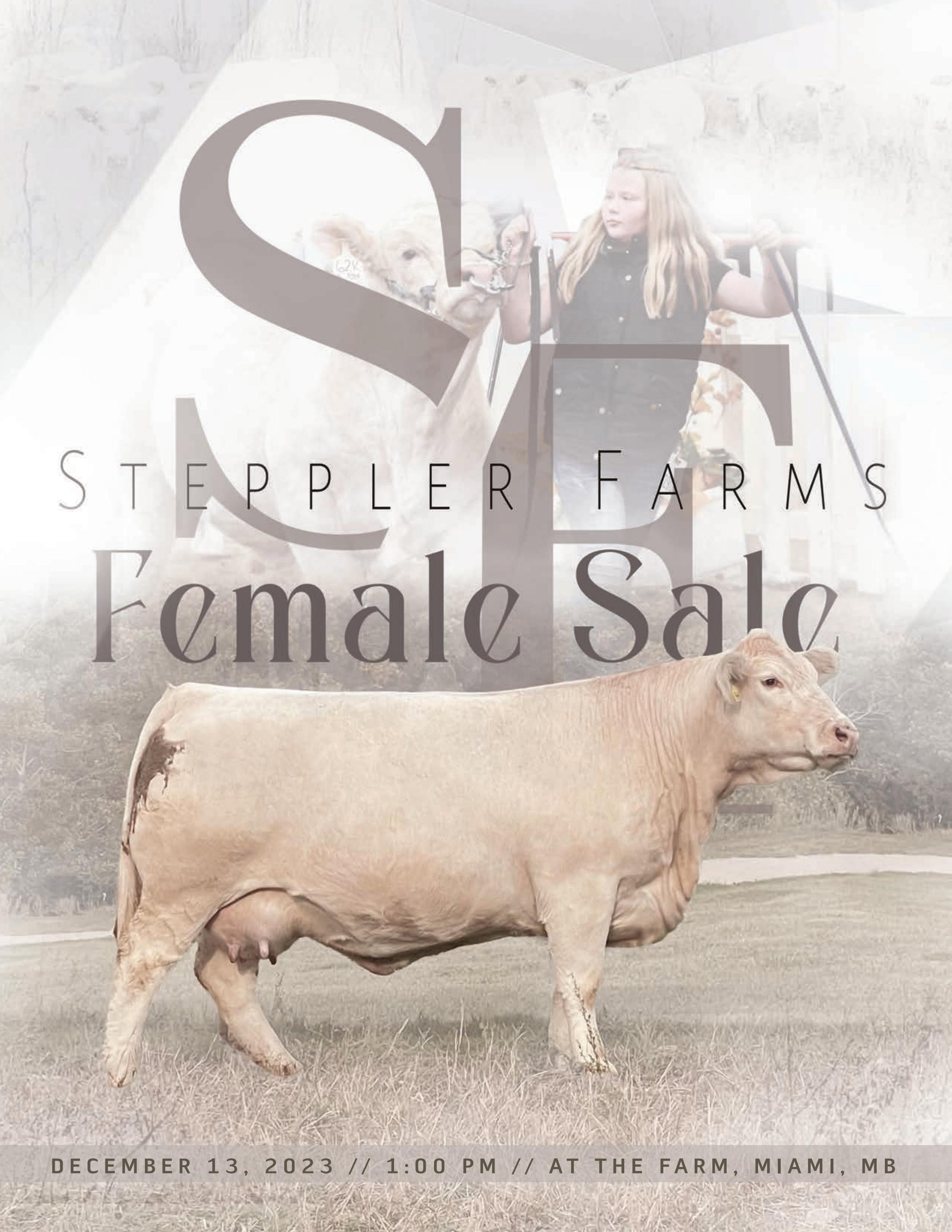 STEPPLER FARMS FEMALE SALE by Today's Publishing Inc. - Issuu