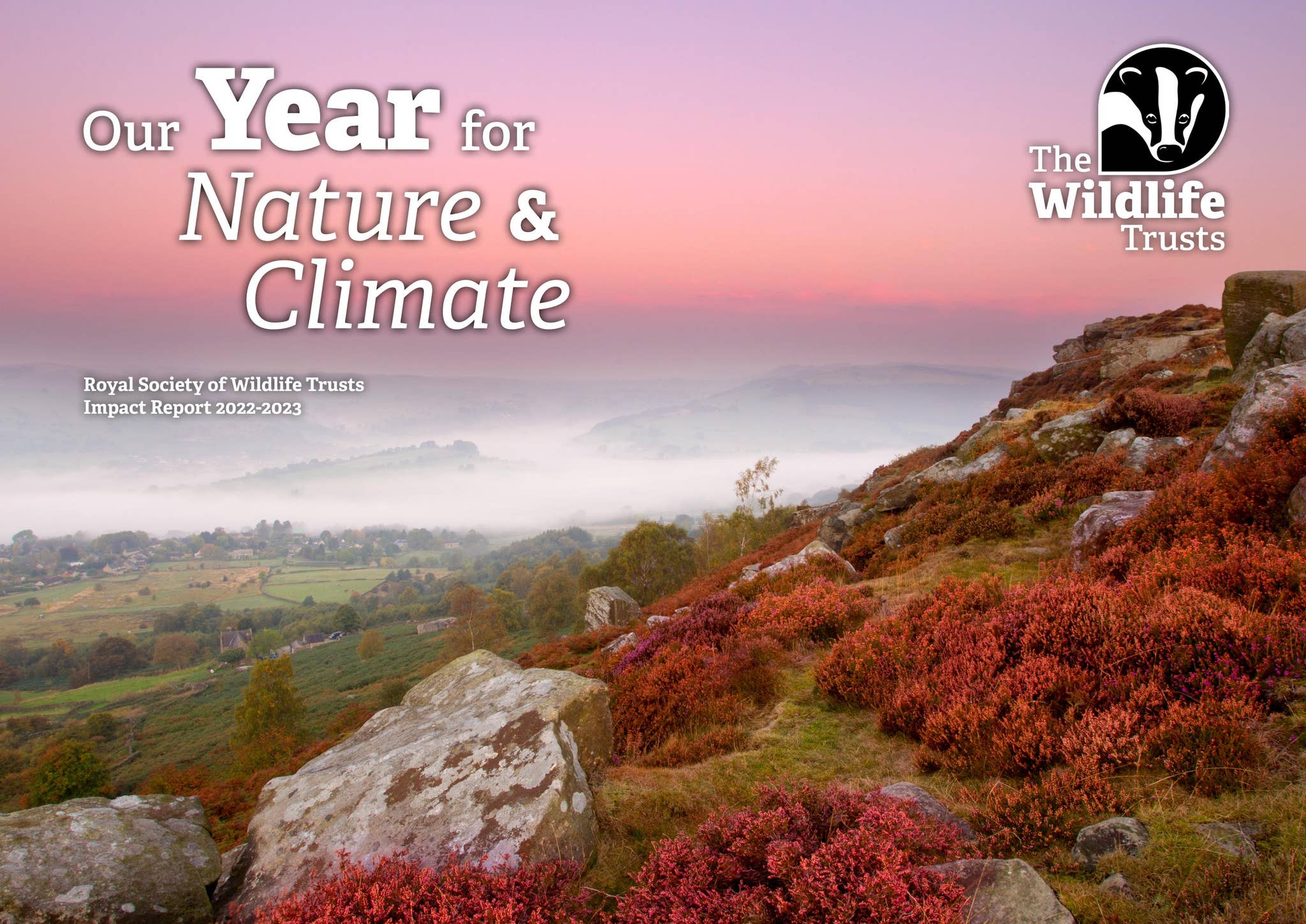 RSWT Annual Impact Report 2022-2023 by The Wildlife Trusts - Issuu