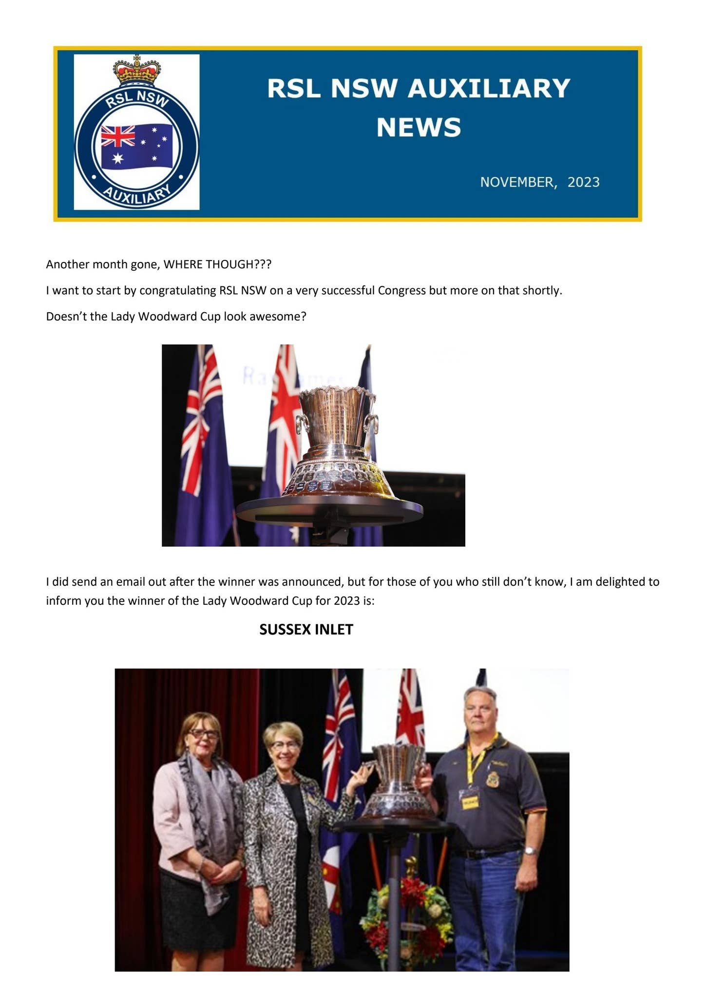 RSL NSW Auxiliary Newsletter - November 2023 by RSL NSW - Issuu