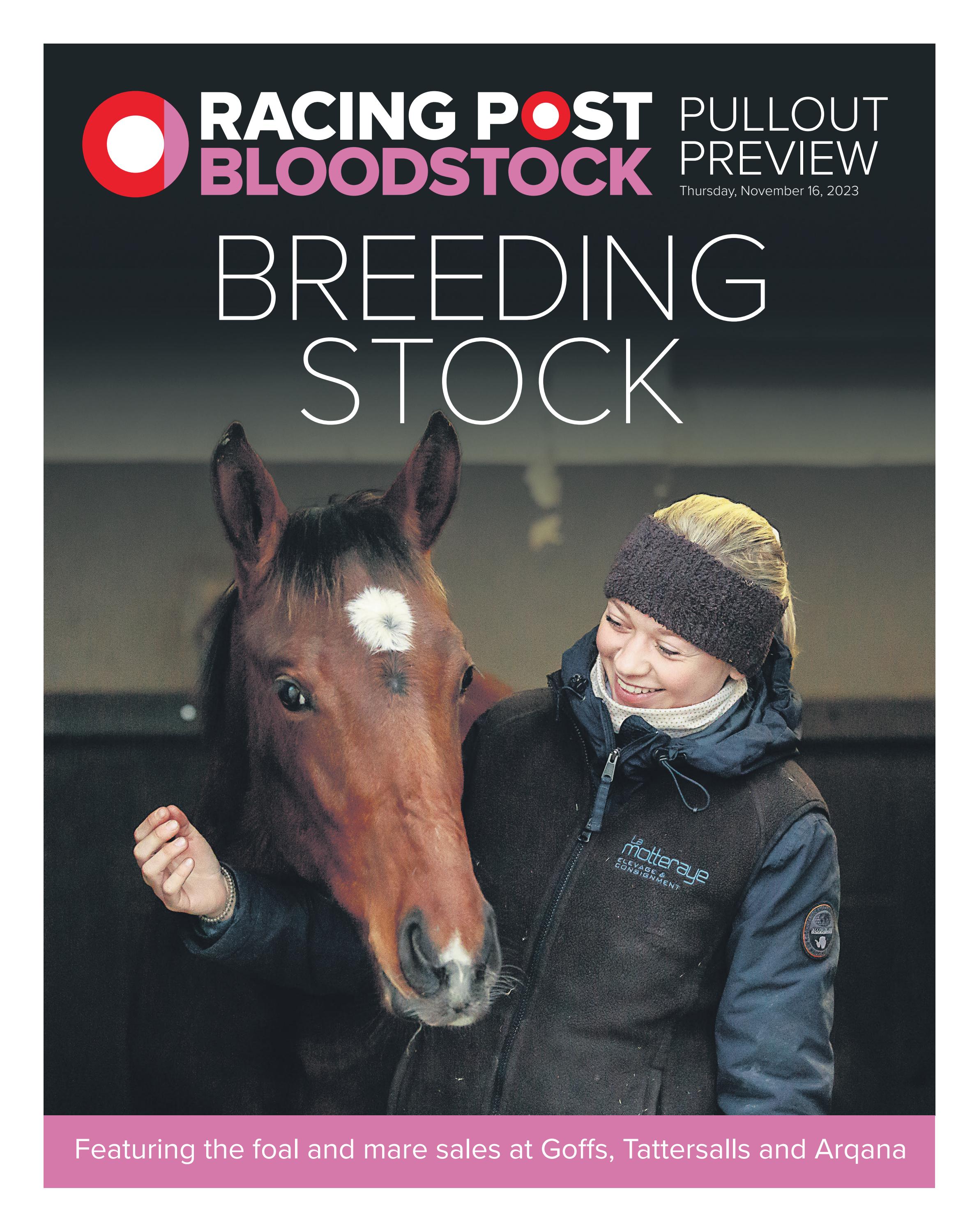 Breeding Stock 2023 by RACING POST BLOODSTOCK - Issuu