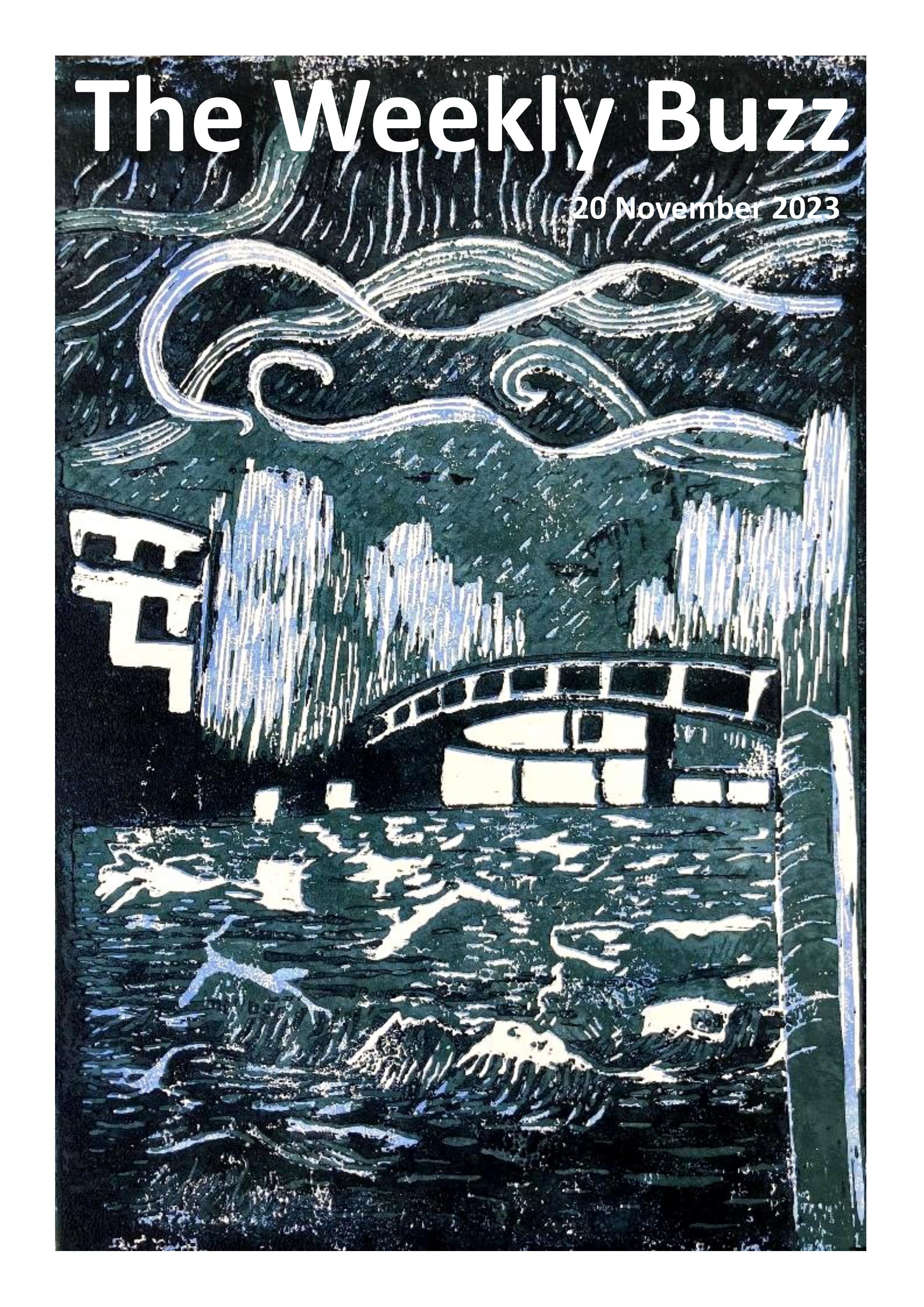 Weekly Buzz 20 November 2023 by Portland Place School - Issuu