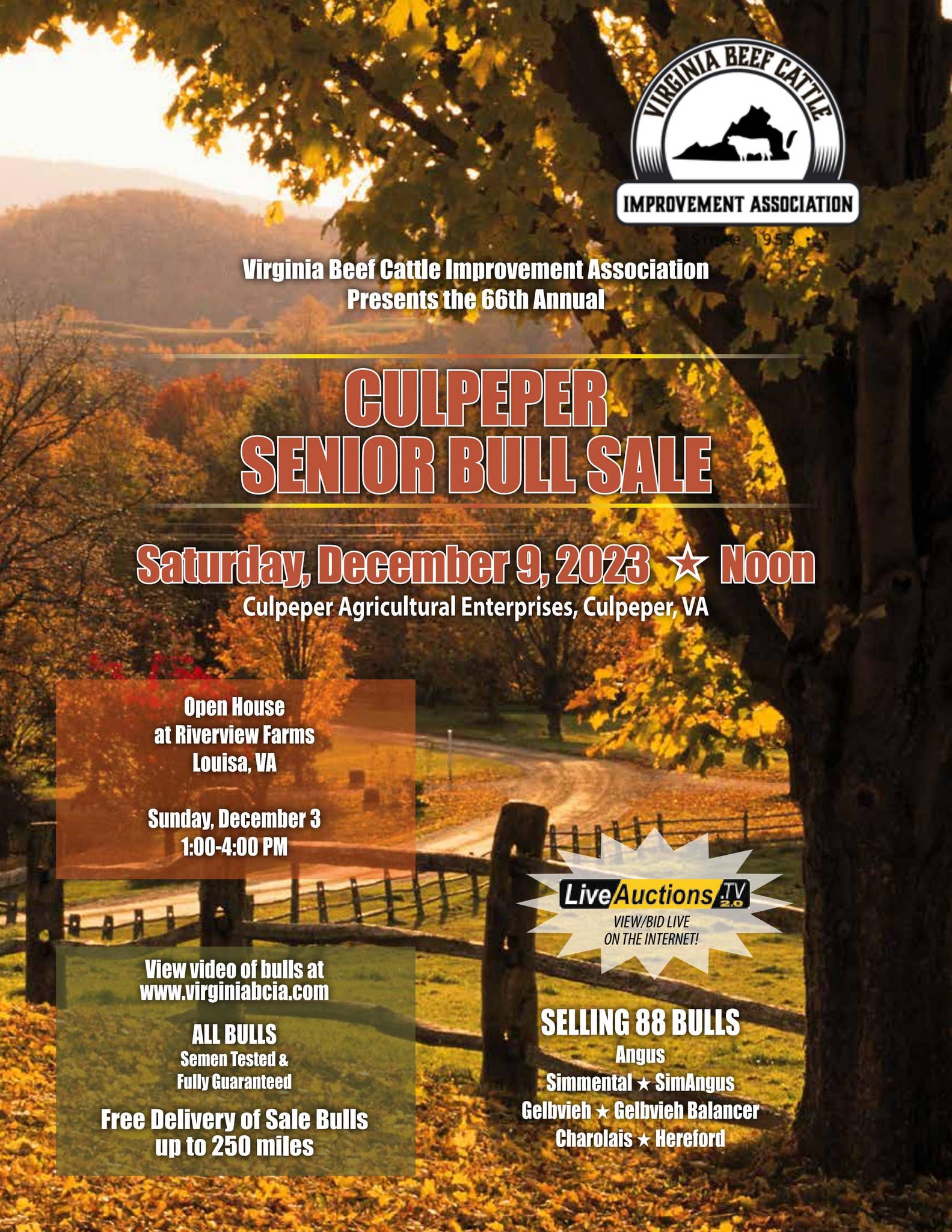 Virginia BCIA 2023 Annual Culpeper Senior Bull Sale by Ranch House ...