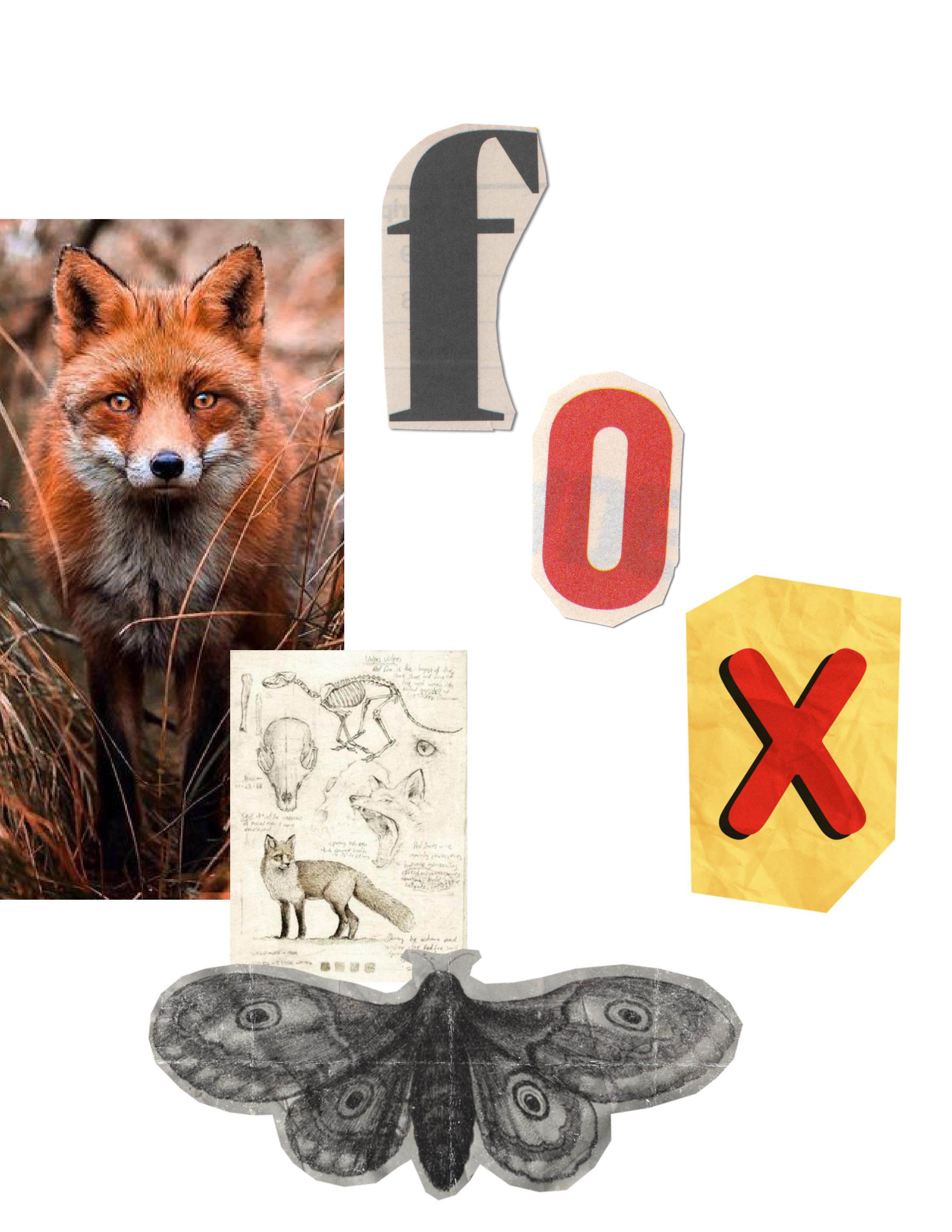 Fox Image Book by Luana de Souza - Issuu