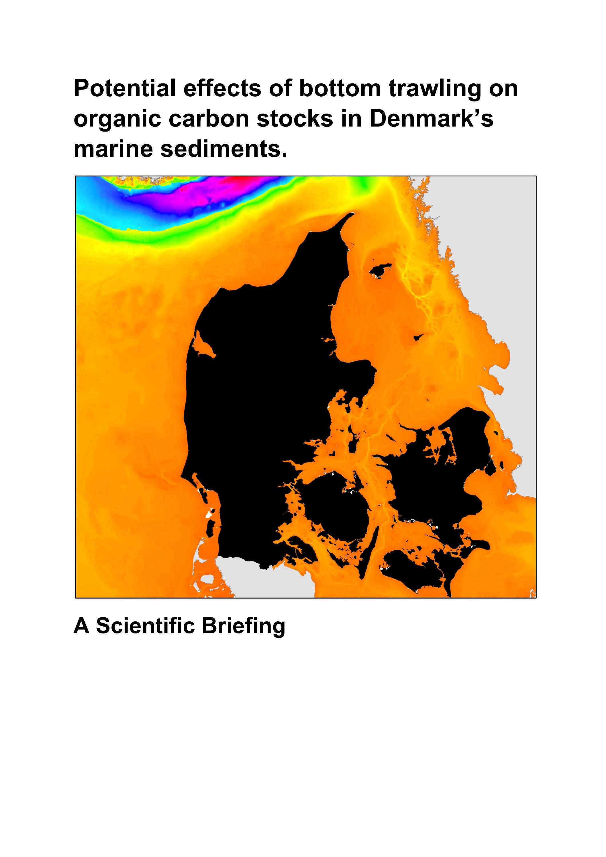 Potential effects of bottom trawling on organic carbon stocks in ...