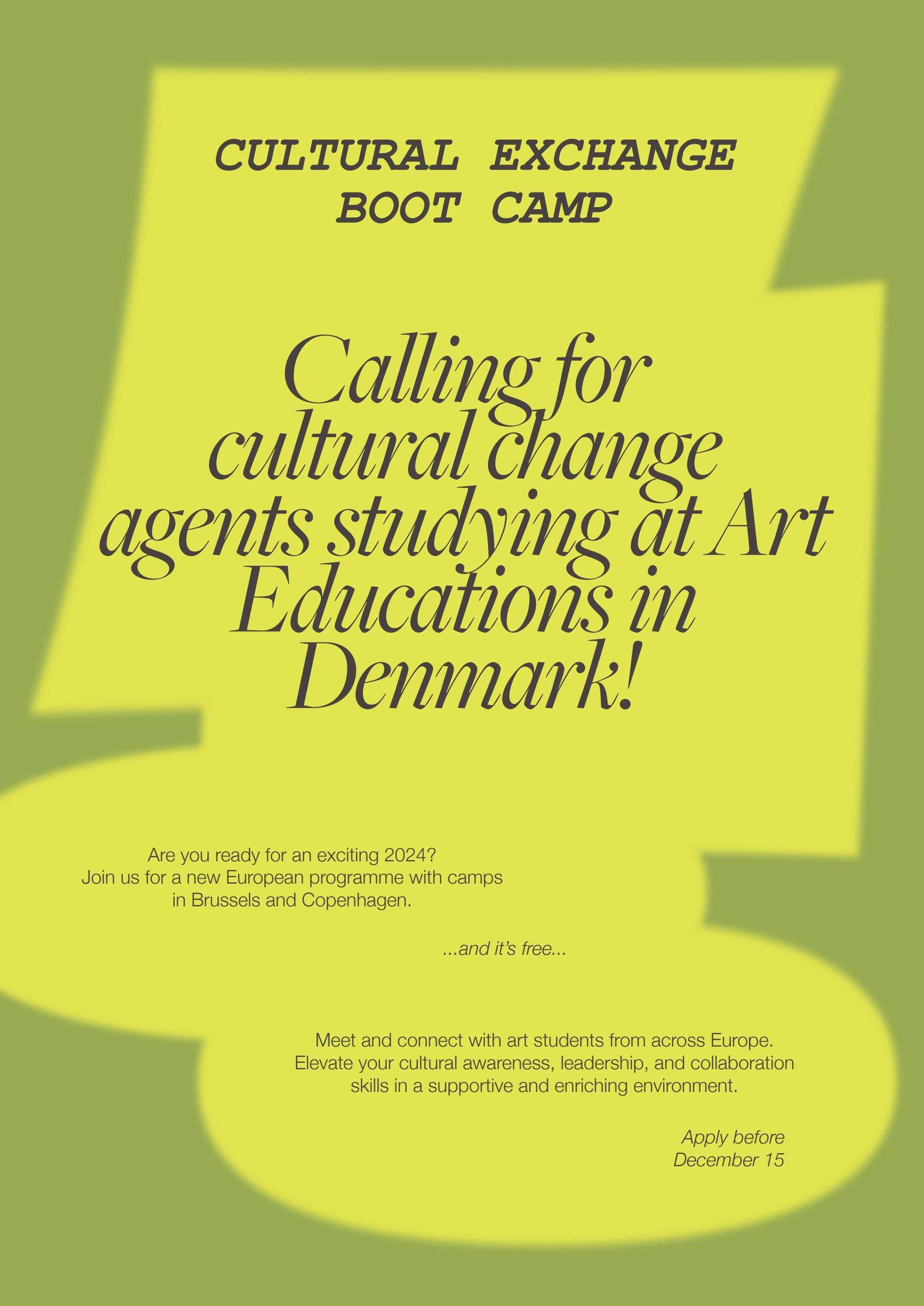 Cultural Exchange Boot Camp - DSF by URWELCOME - Issuu