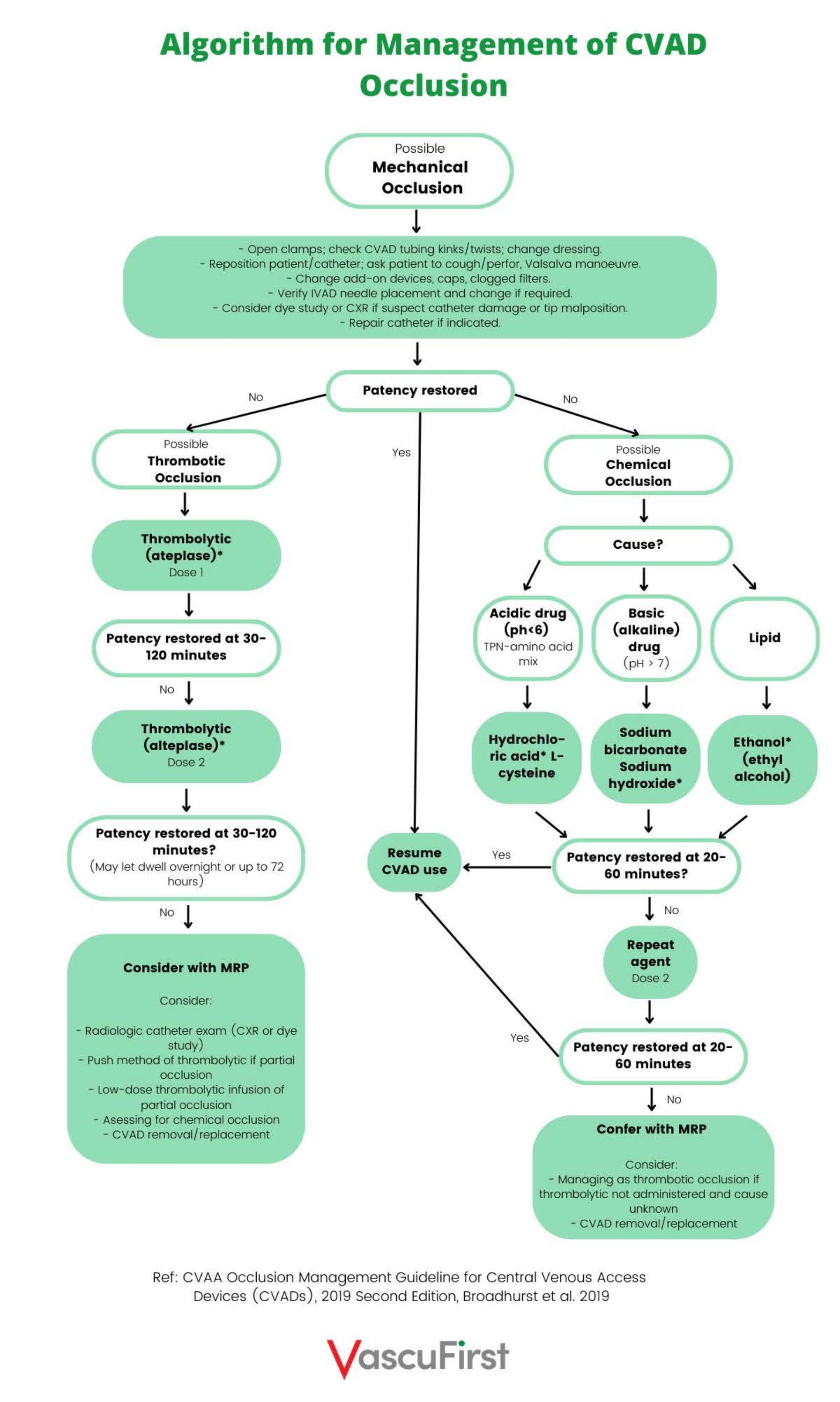 Algorithm for Management of CVAD Occlusion by VygonGroup - Issuu