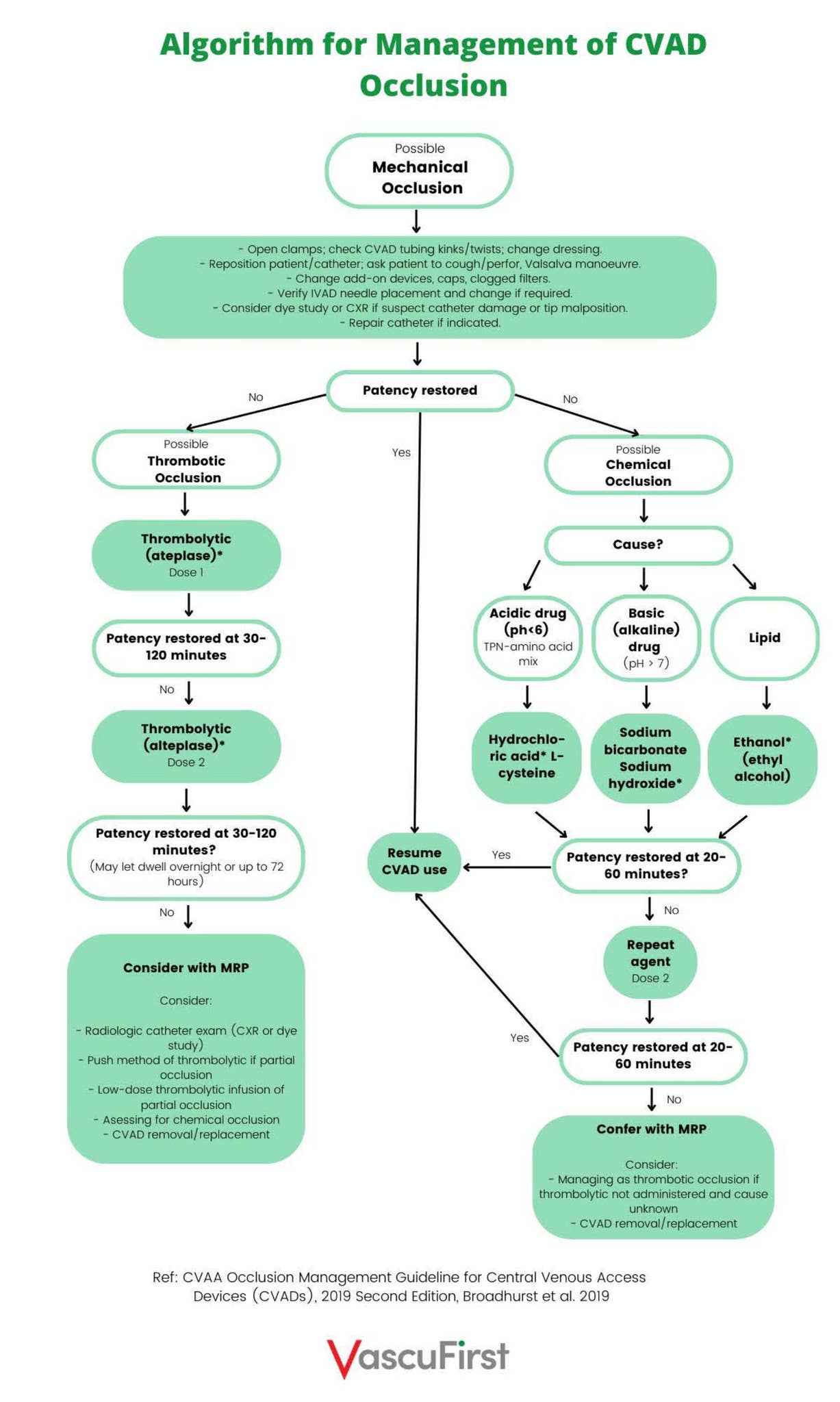 Algorithm for Management of CVAD Occlusion by VygonGroup - Issuu