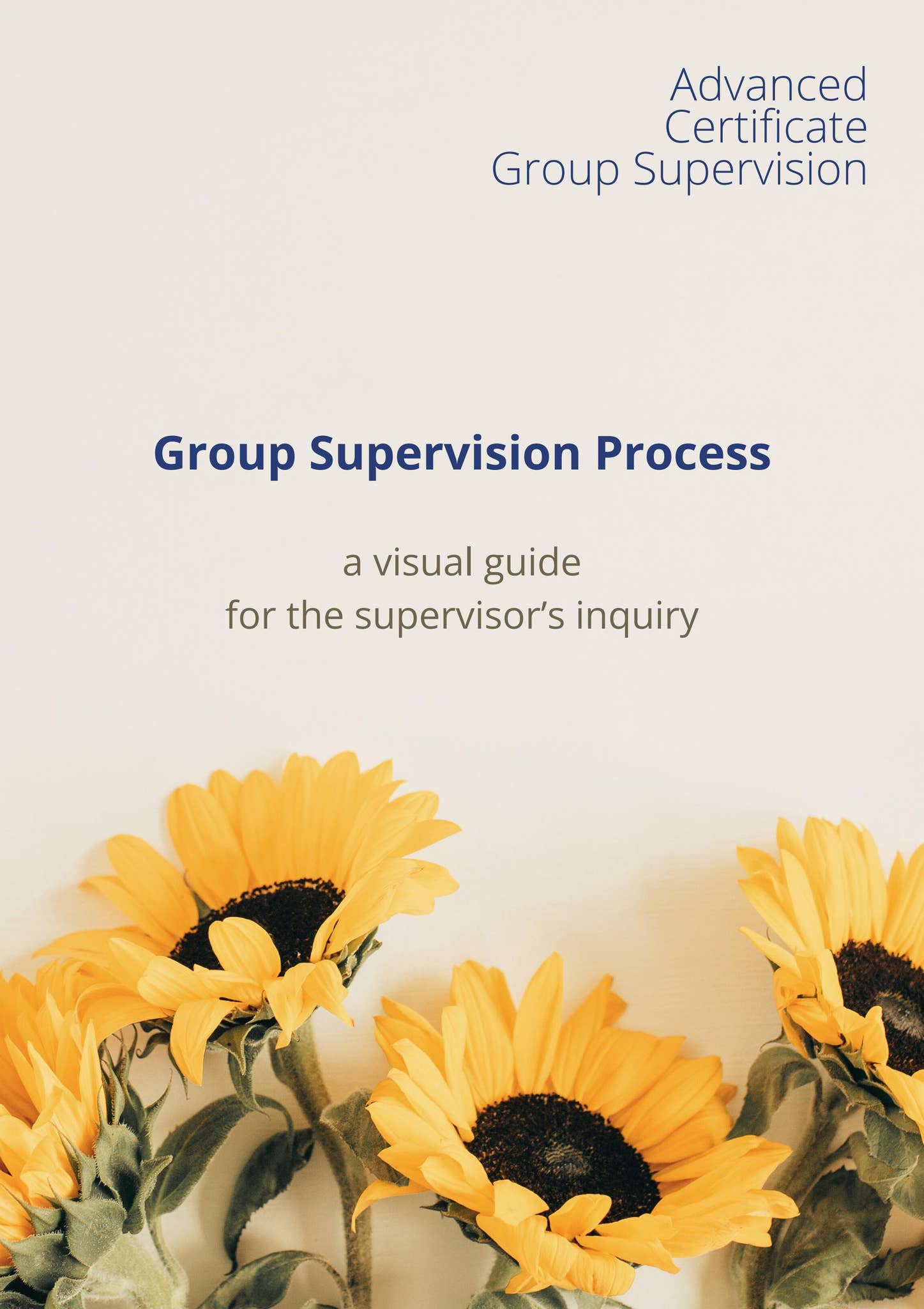 Group Supervision Process: A Visual Guide for the Supervisor's Inquiry ...