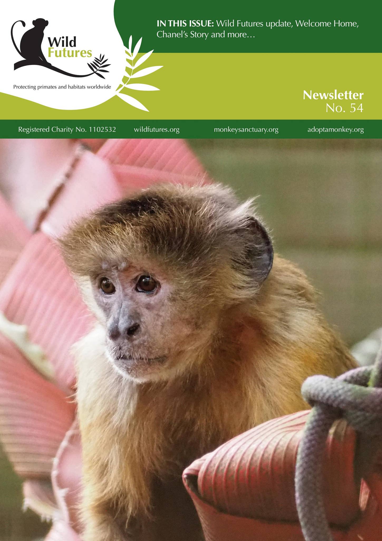 Wild Futures Newsletter No 54 by wildfutures1 - Issuu