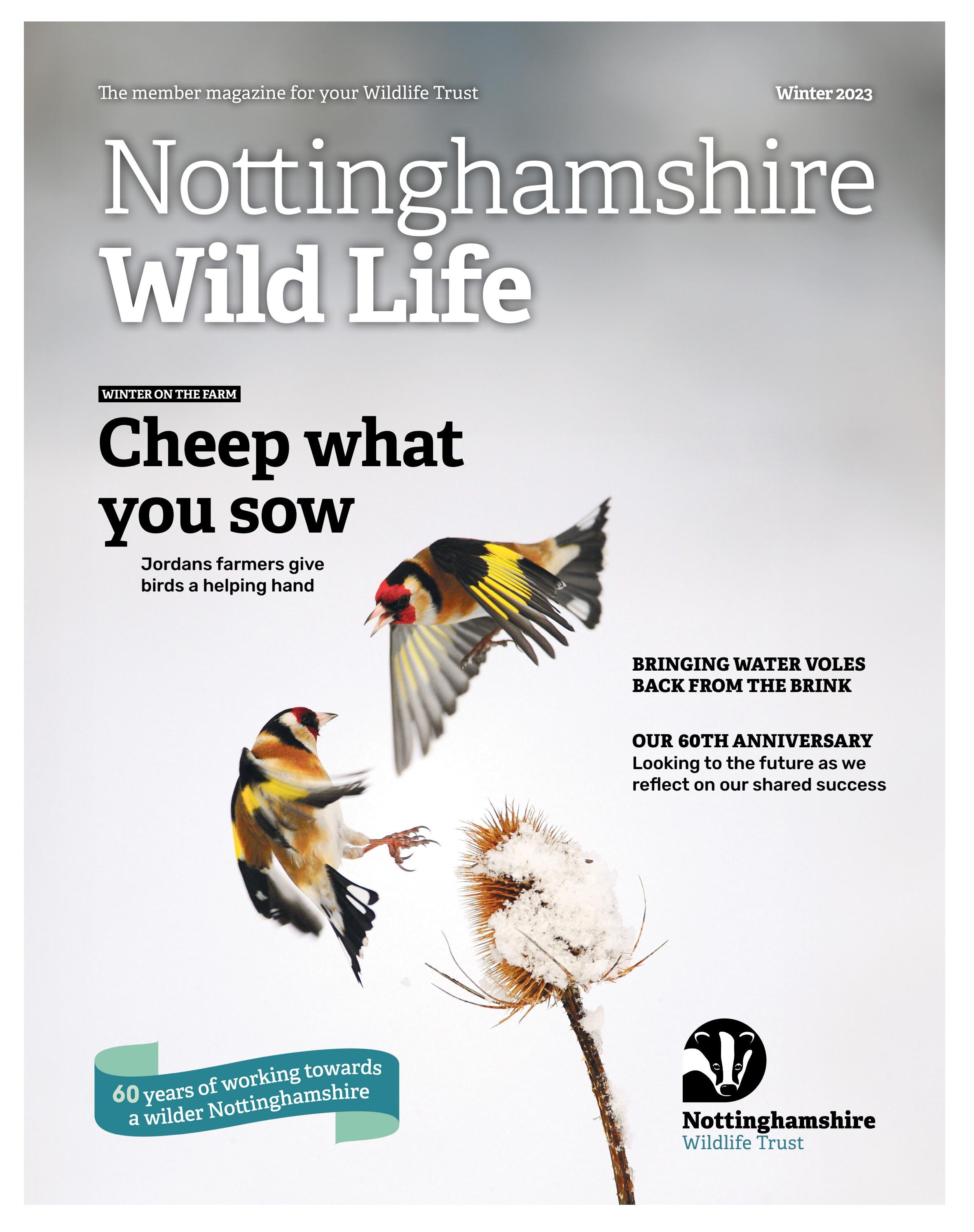 Nottinghamshire Wild Life Winter 2023/24 by Nottinghamshire Wildlife ...