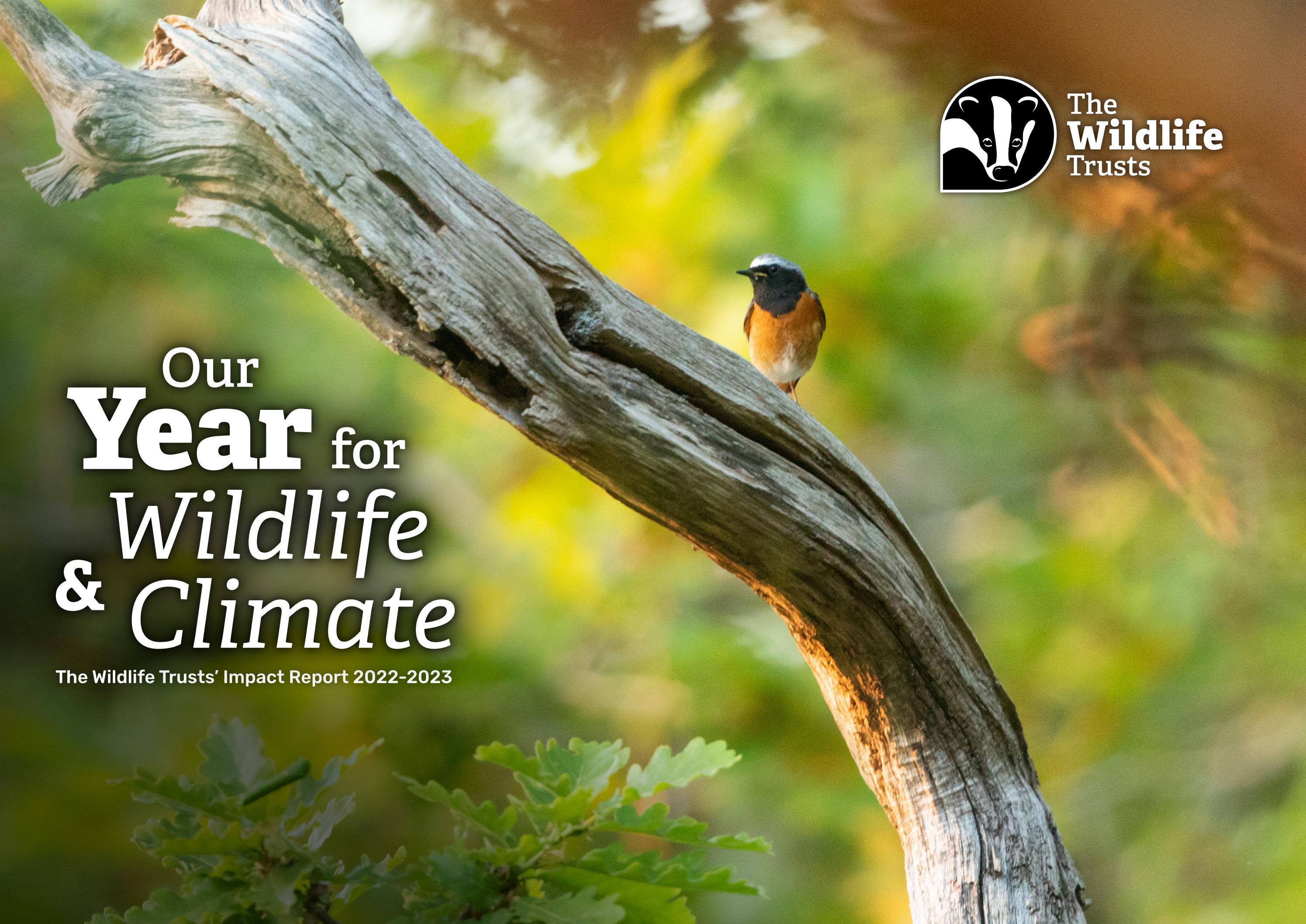 Our Year for Wildlife & Climate by The Wildlife Trusts - Issuu