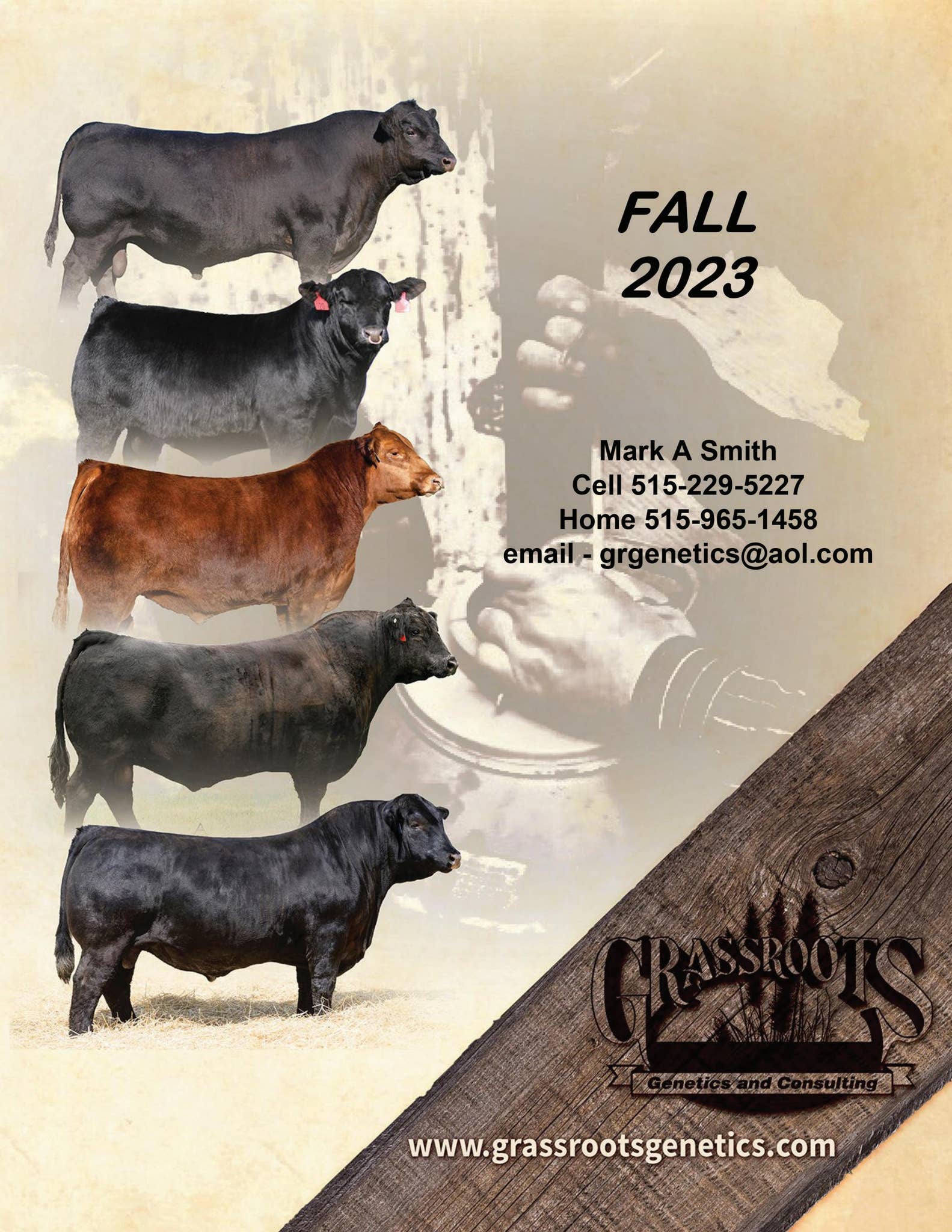 Grassroots Genetics - Fall 2023 Sire Directory by Monti West Design - Issuu