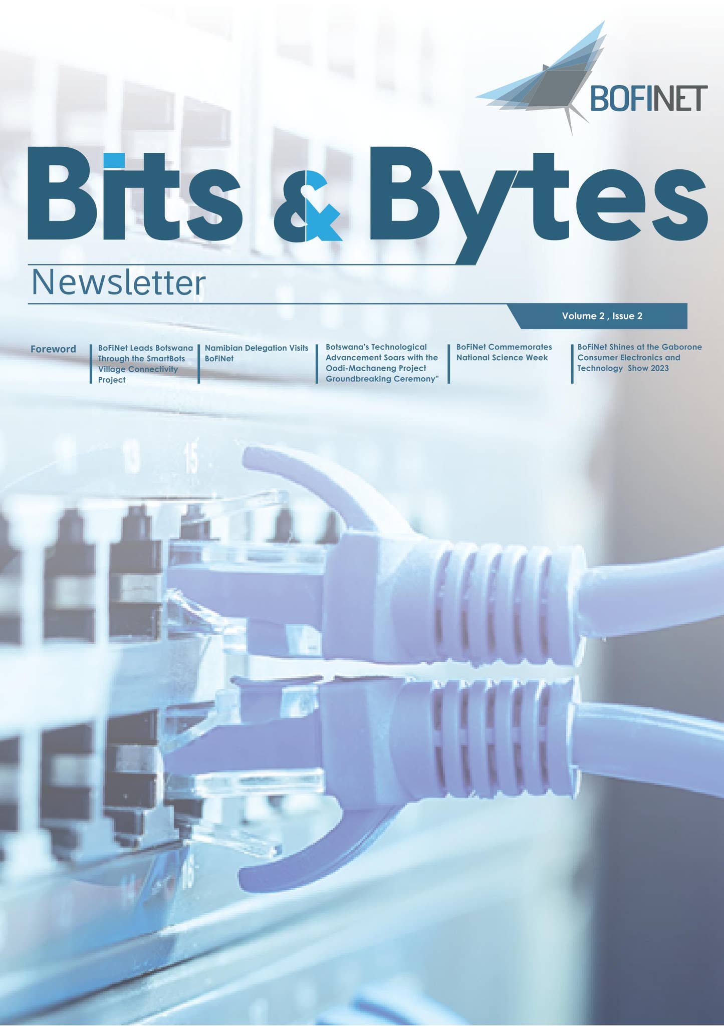 BoFiNet Bits & Bytes Vol 2, Issue 2 by BoFiNet - Issuu