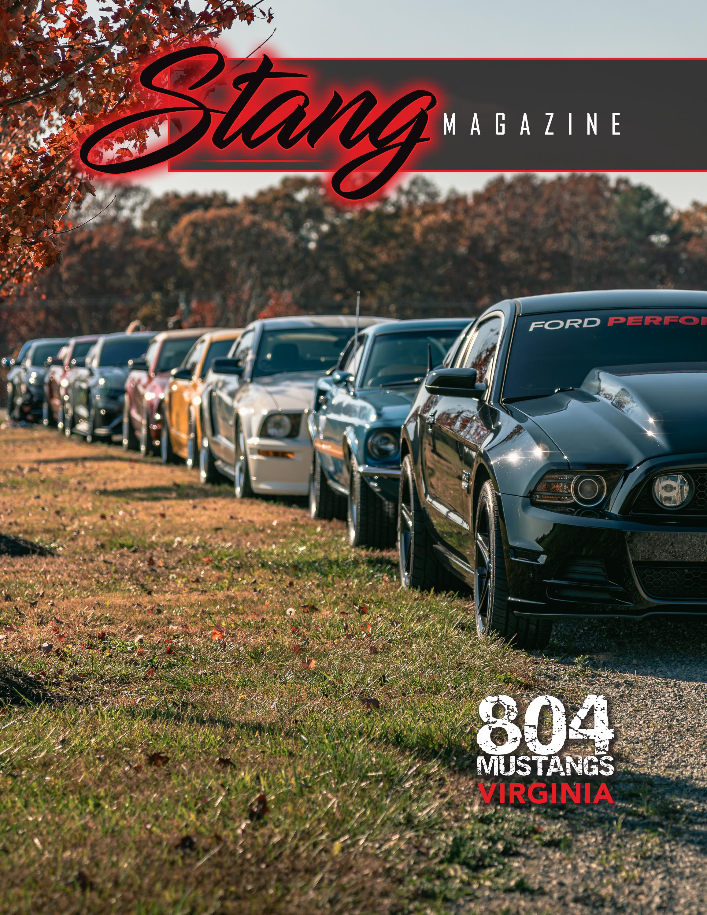 STANG Magazine Special Edition Issue: 804 Mustangs by STANG Magazine ...