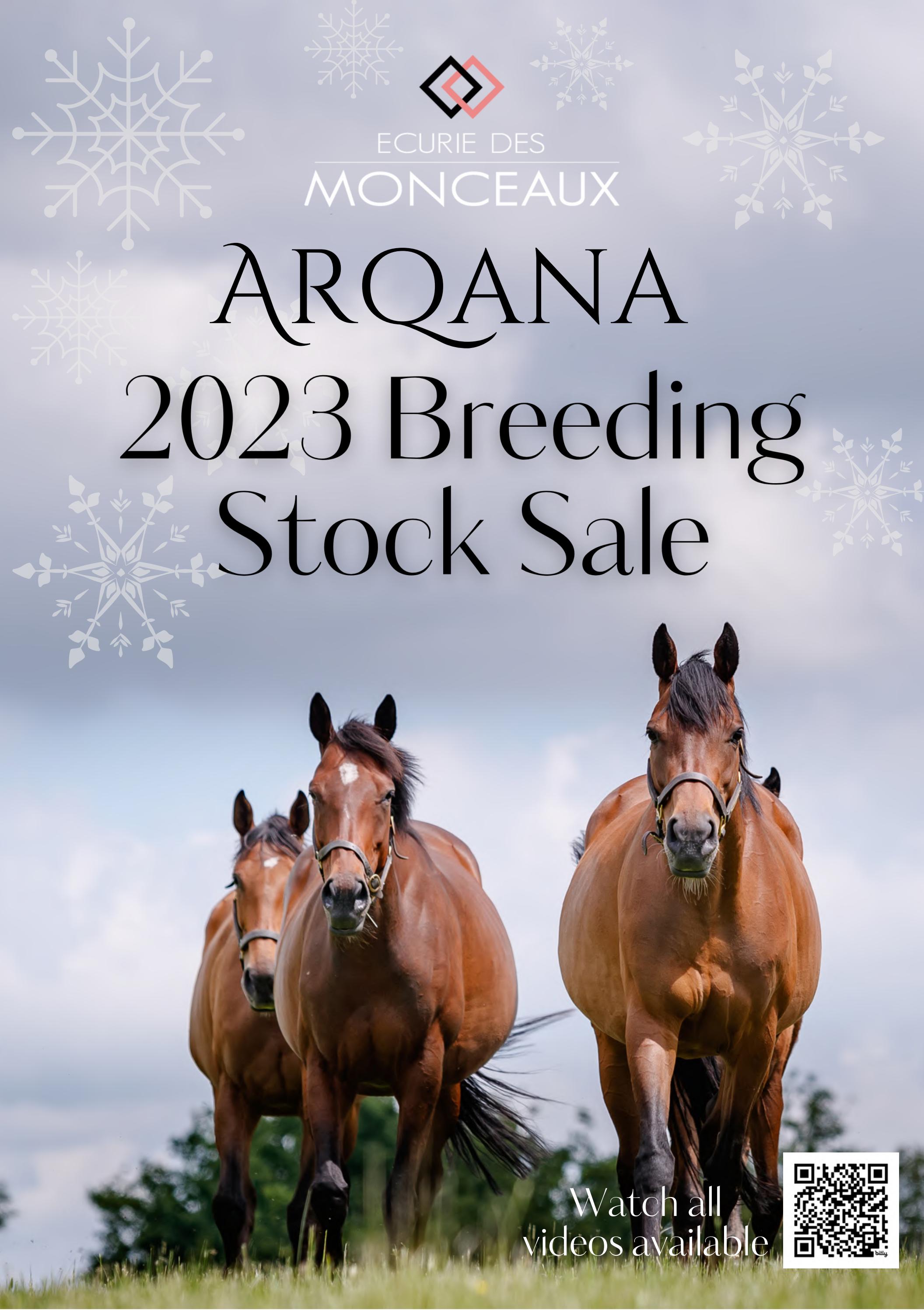 Arqana 2023 Breeding Stock Sale by Ecurie des Monceaux - Issuu