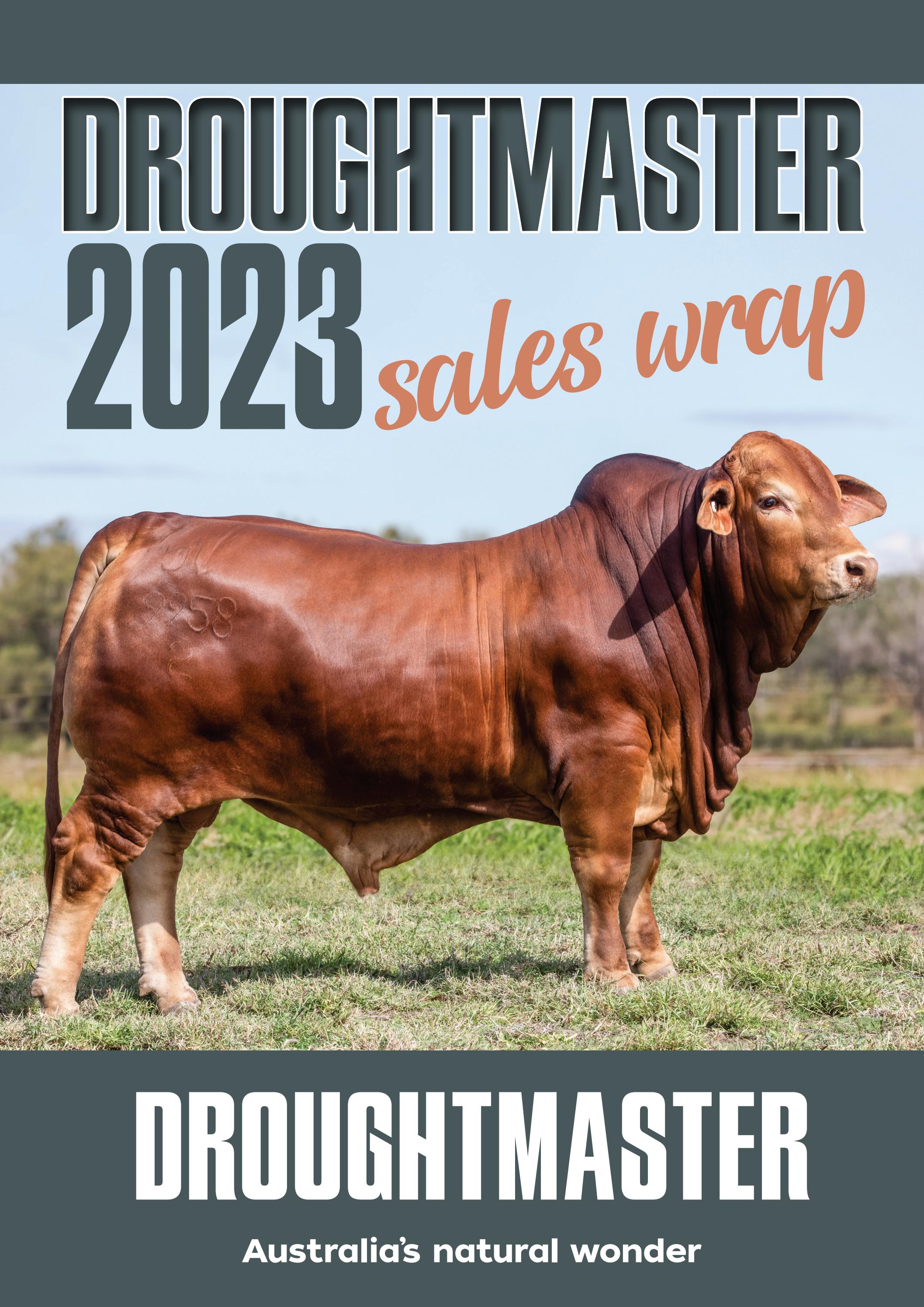 2023 Droughtmaster Sales Wrap by Droughtmaster Australia - Issuu