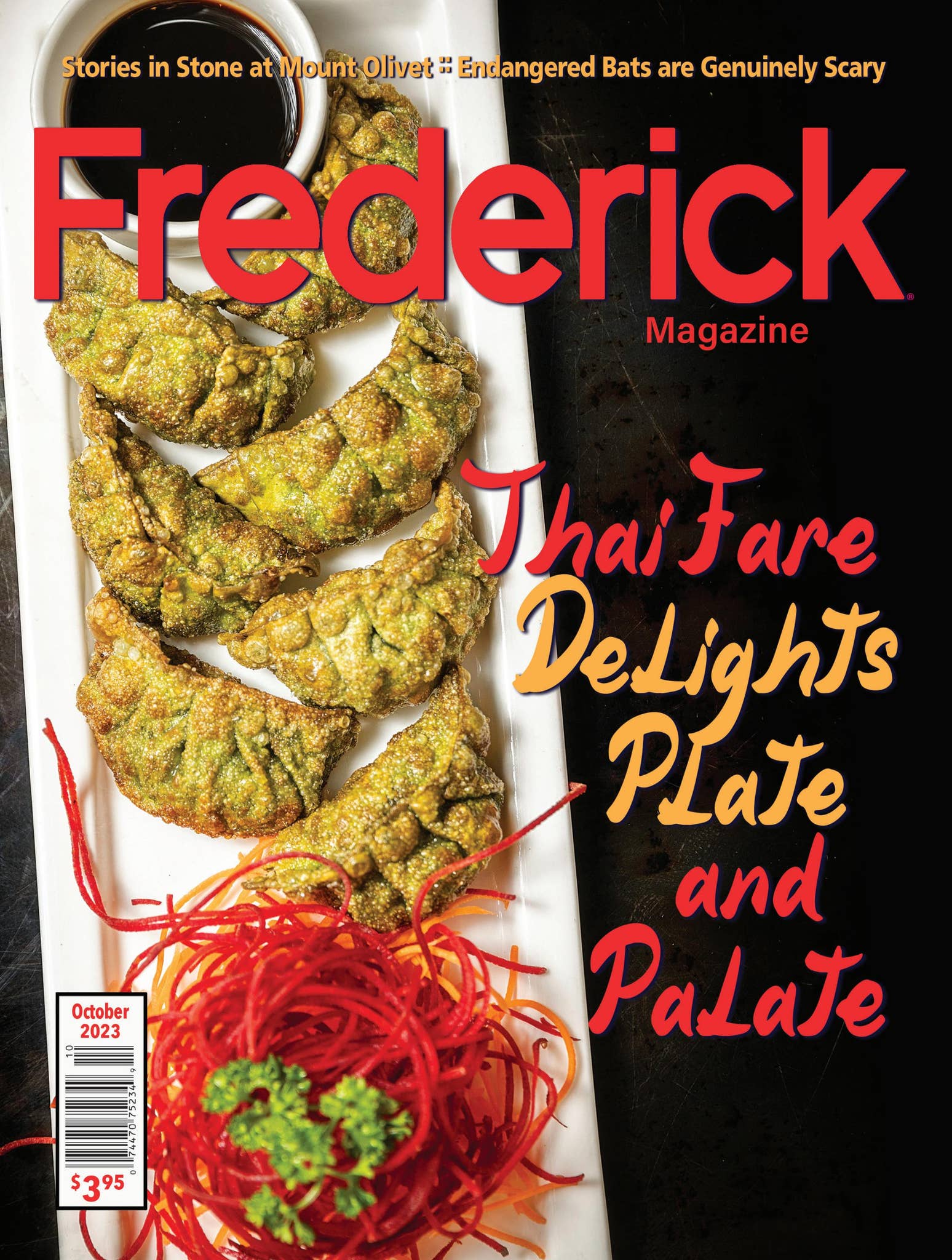 Frederick Magazine - October 2023 by Diversions Publications, Inc. - Issuu