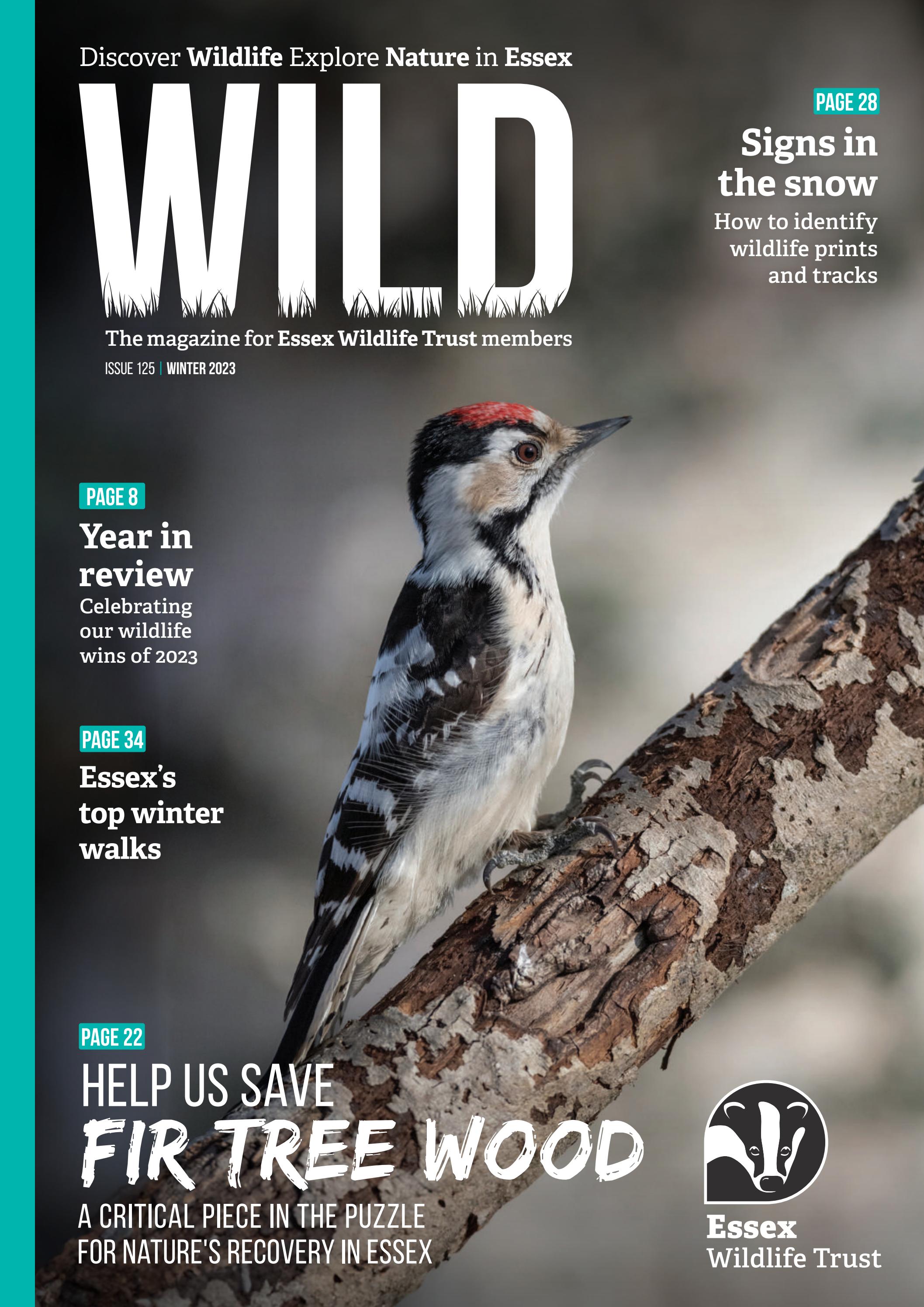 Wild Magazine Winter 2023 by essexwt - Issuu
