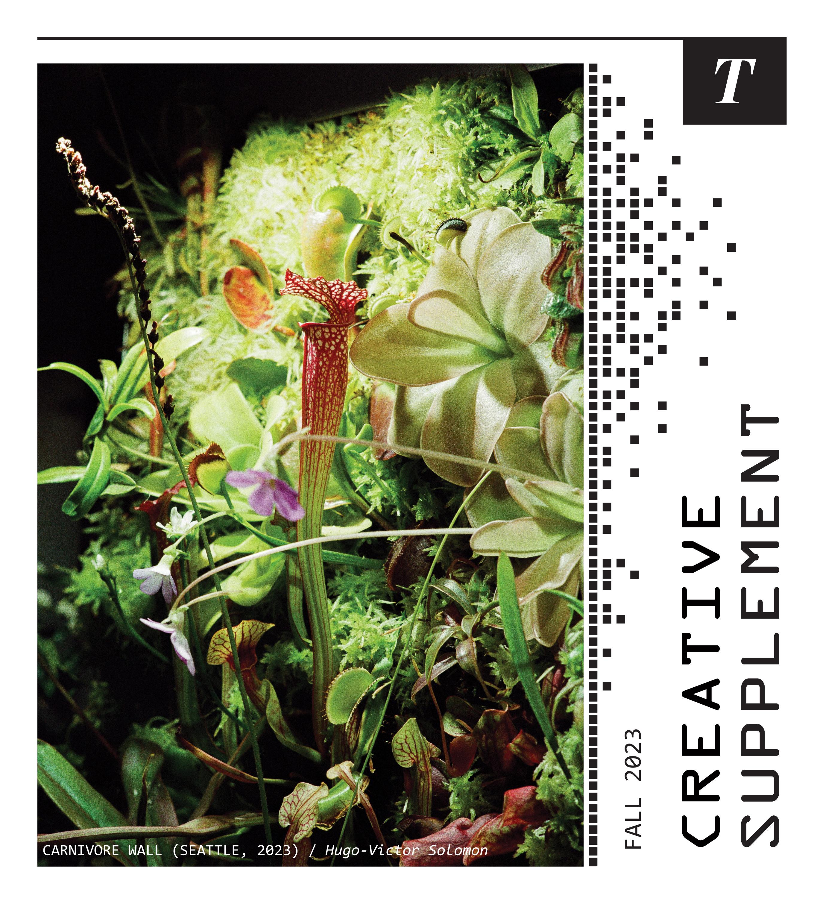 The Tribune Fall 2023 Creative Supplement by The Tribune - Issuu