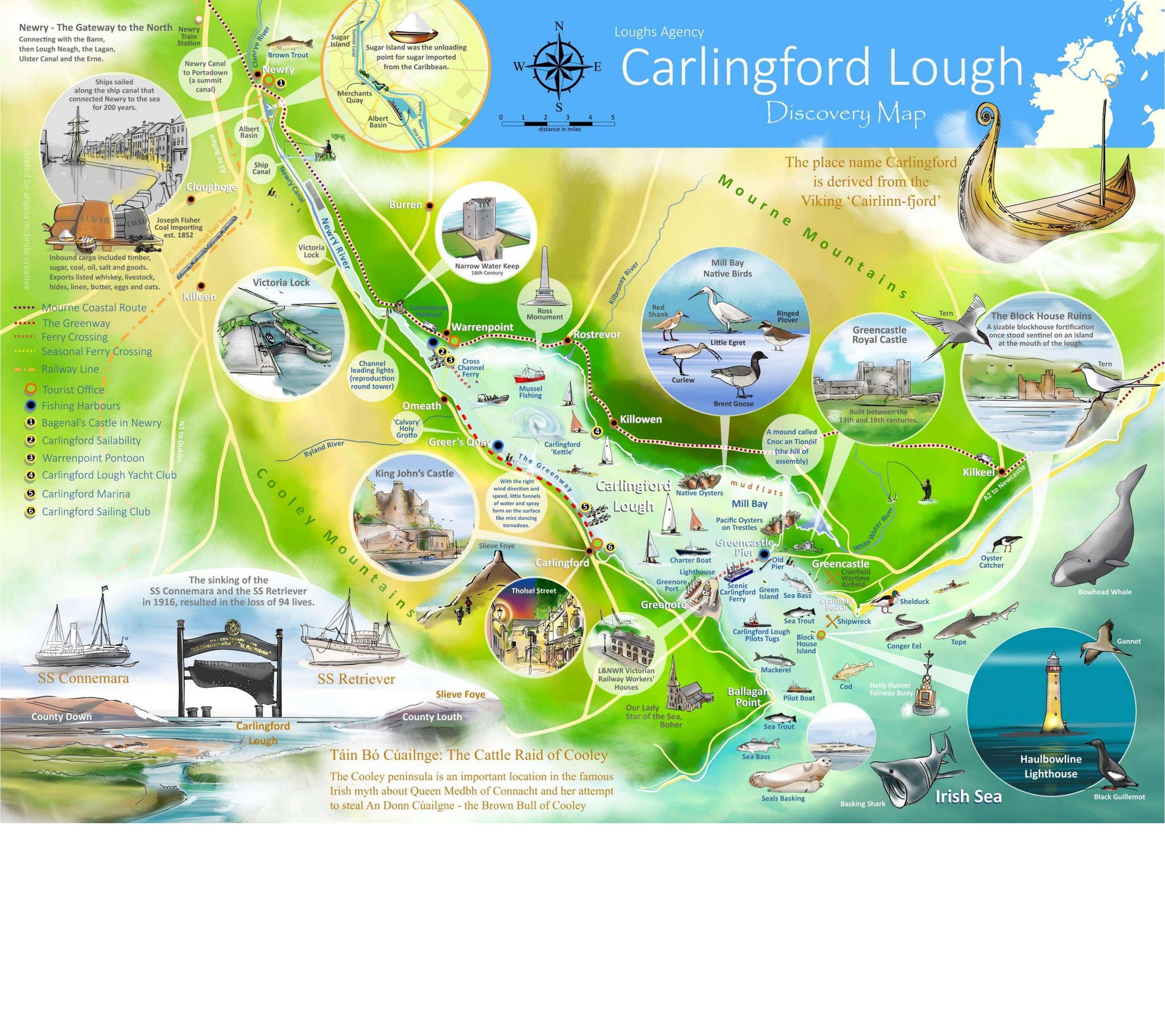 Illustrated Map of Carlingford Area by loughsagency - Issuu