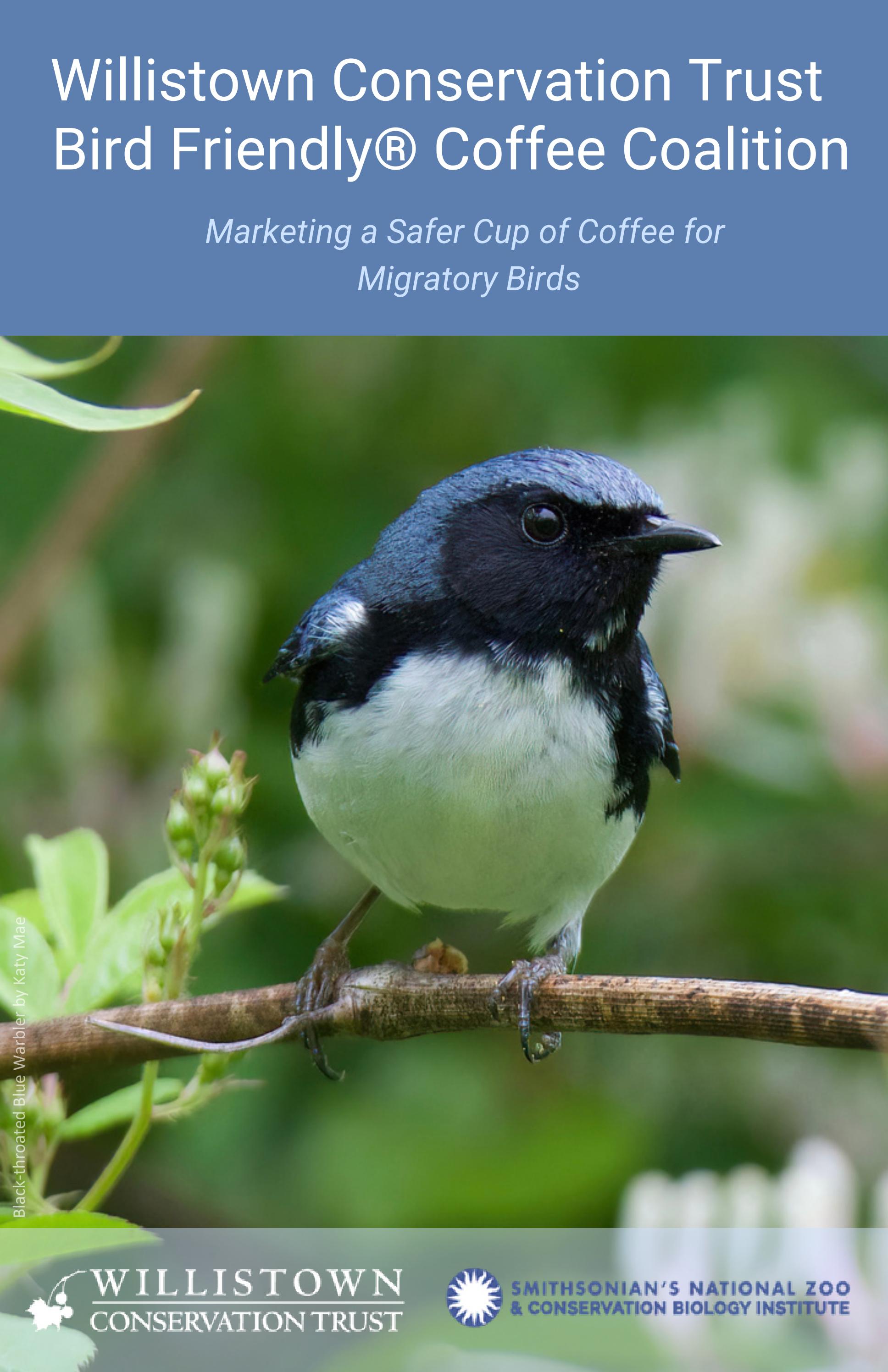 Bird Friendly® Coffee Coalition_Marketing a Safer Cup of Coffee for ...