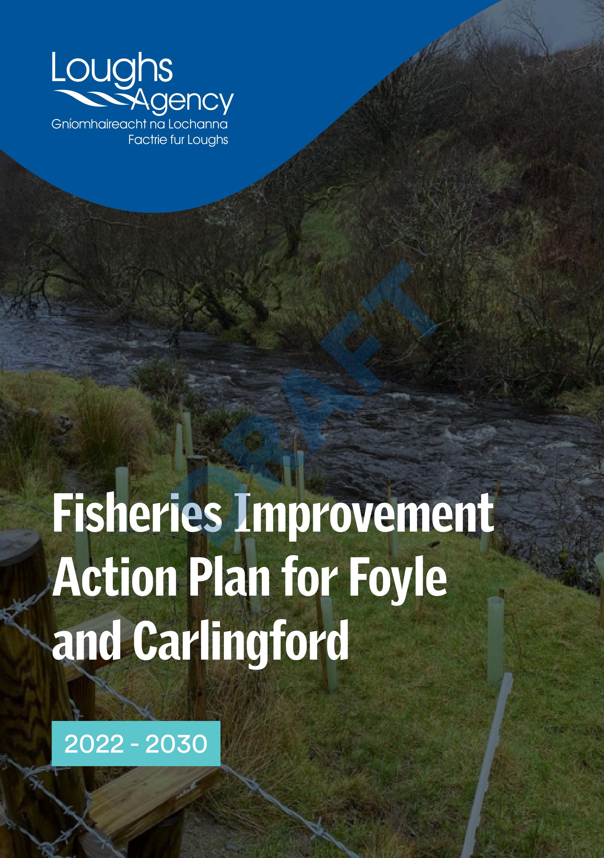Fisheries Improvement Action Plan for Foyle and Carlingford 2022-2030 ...
