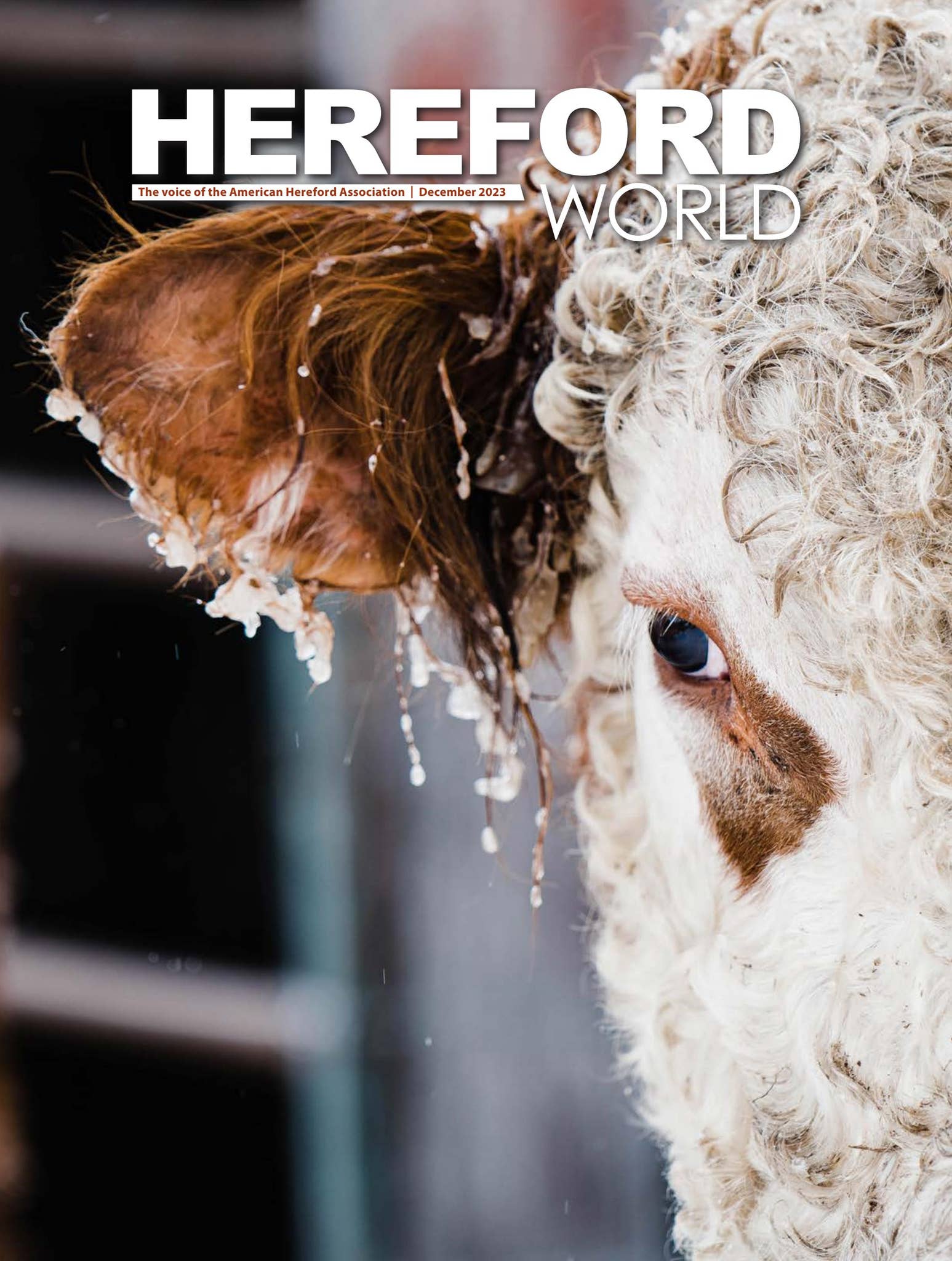 December 2023 Hereford World Magazine by American Hereford Association ...