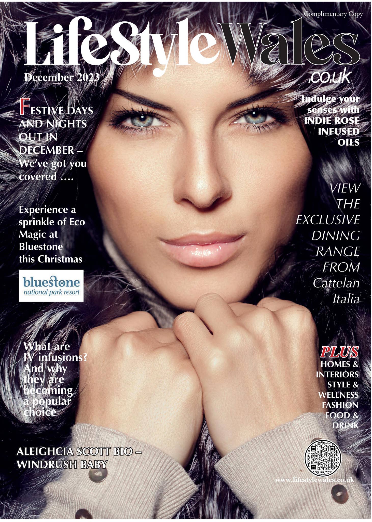LifeStyle Wales - Issue 2 December 2023 by Magazine Publishers - Issuu