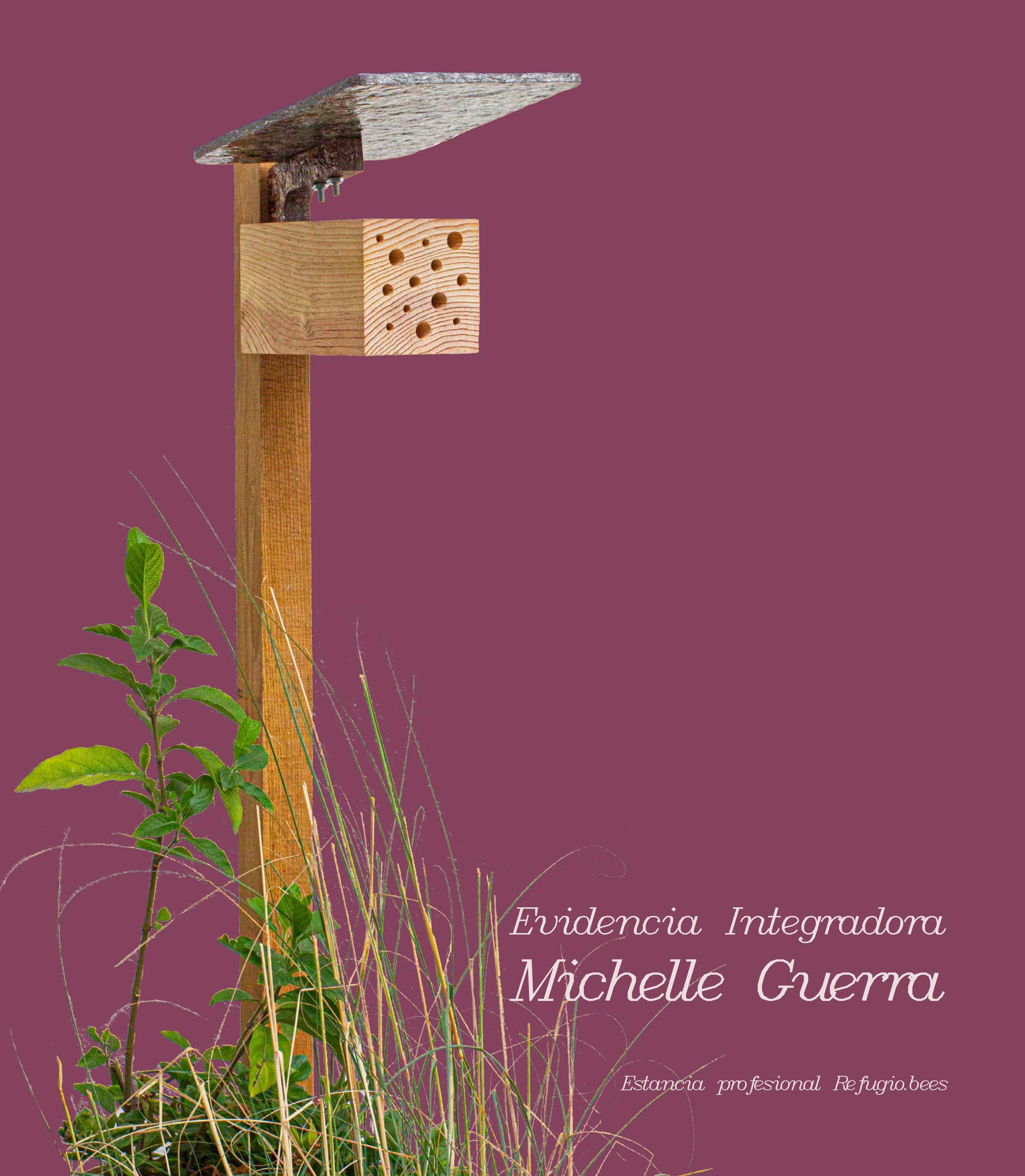 Ev Integradora Michelle by miceladinosauria - Issuu