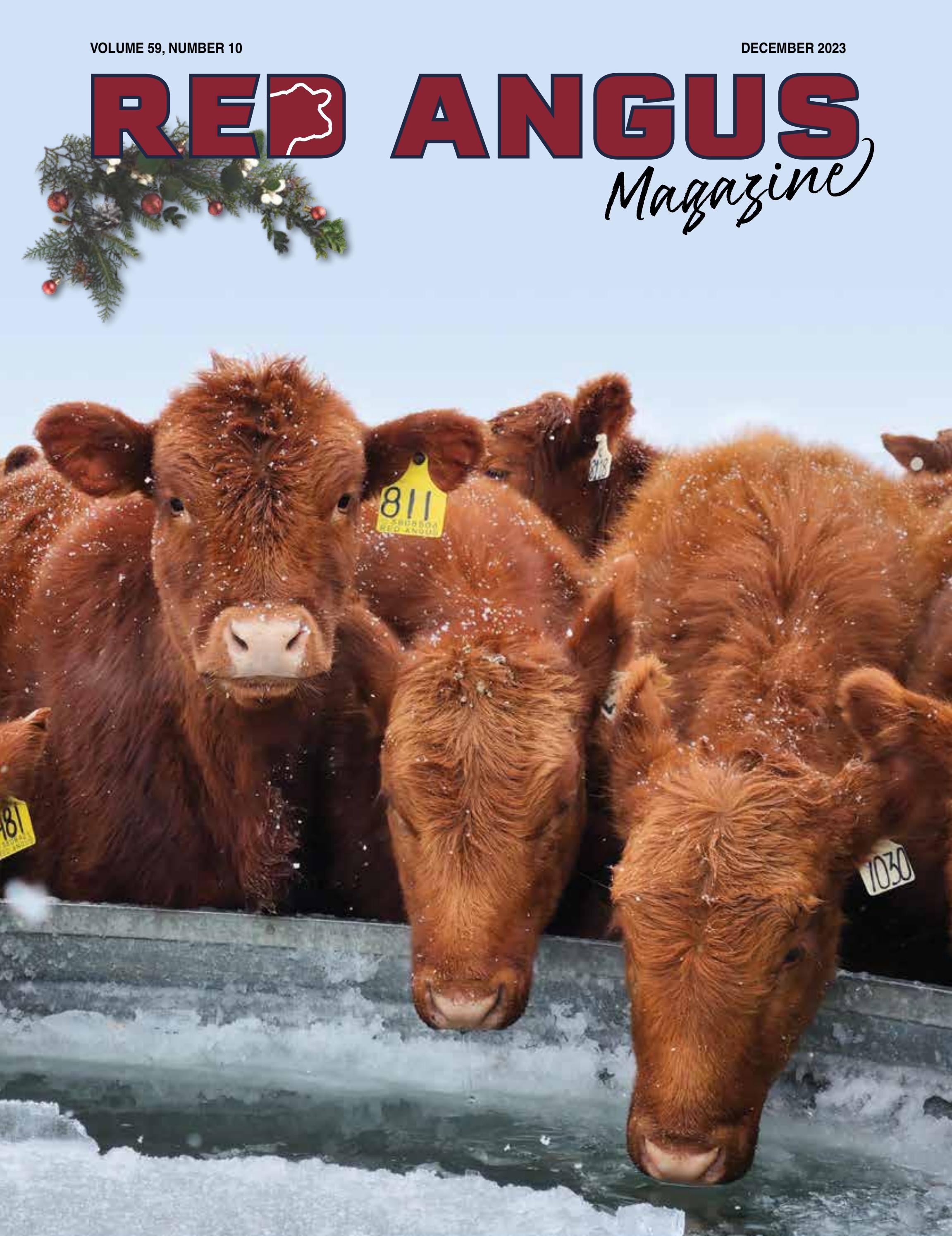 Red Angus Magazine - December by Red Angus Association of America - Issuu
