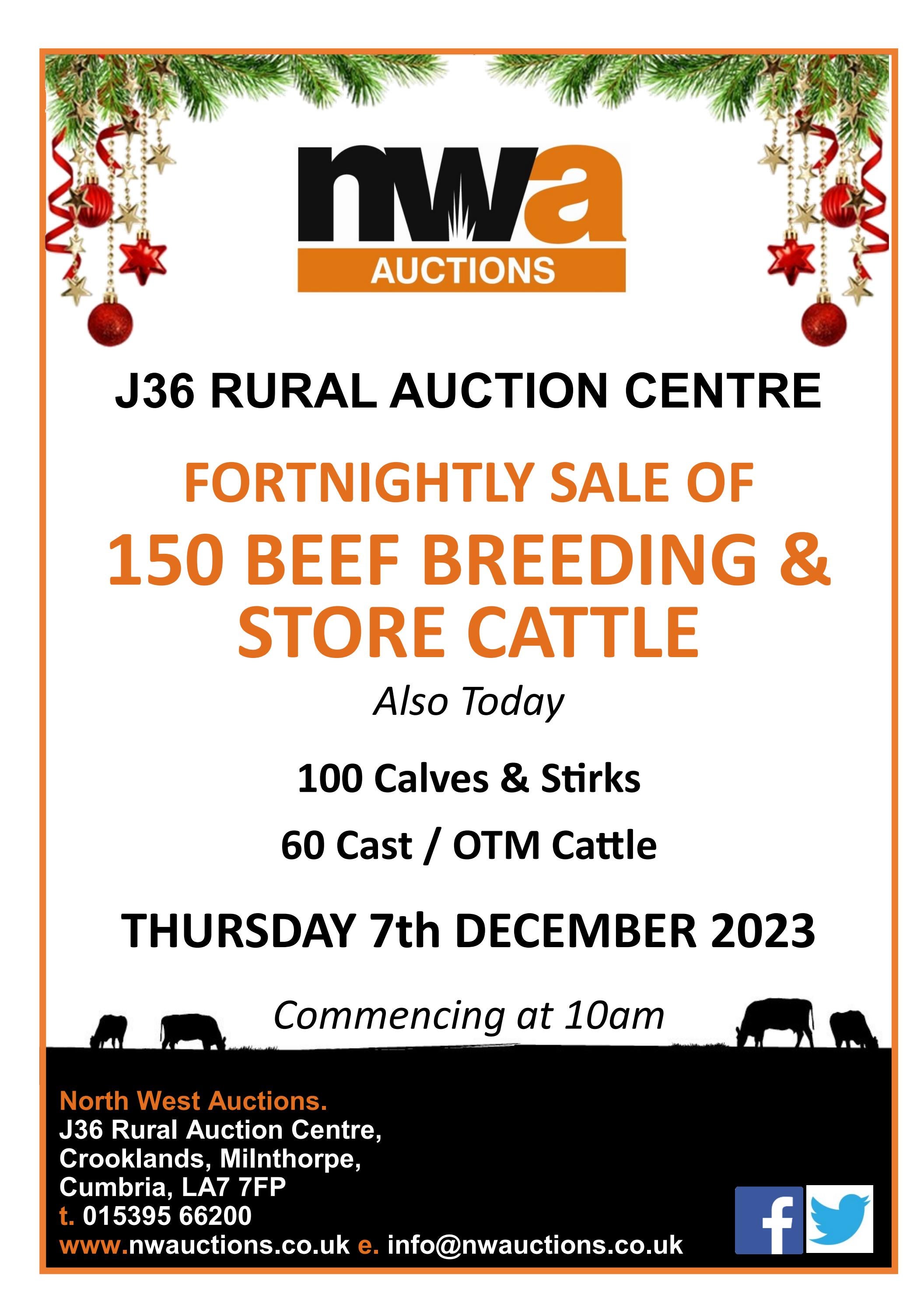 J36 Store Cattle and Beef Breeding by North West Auctions - Issuu