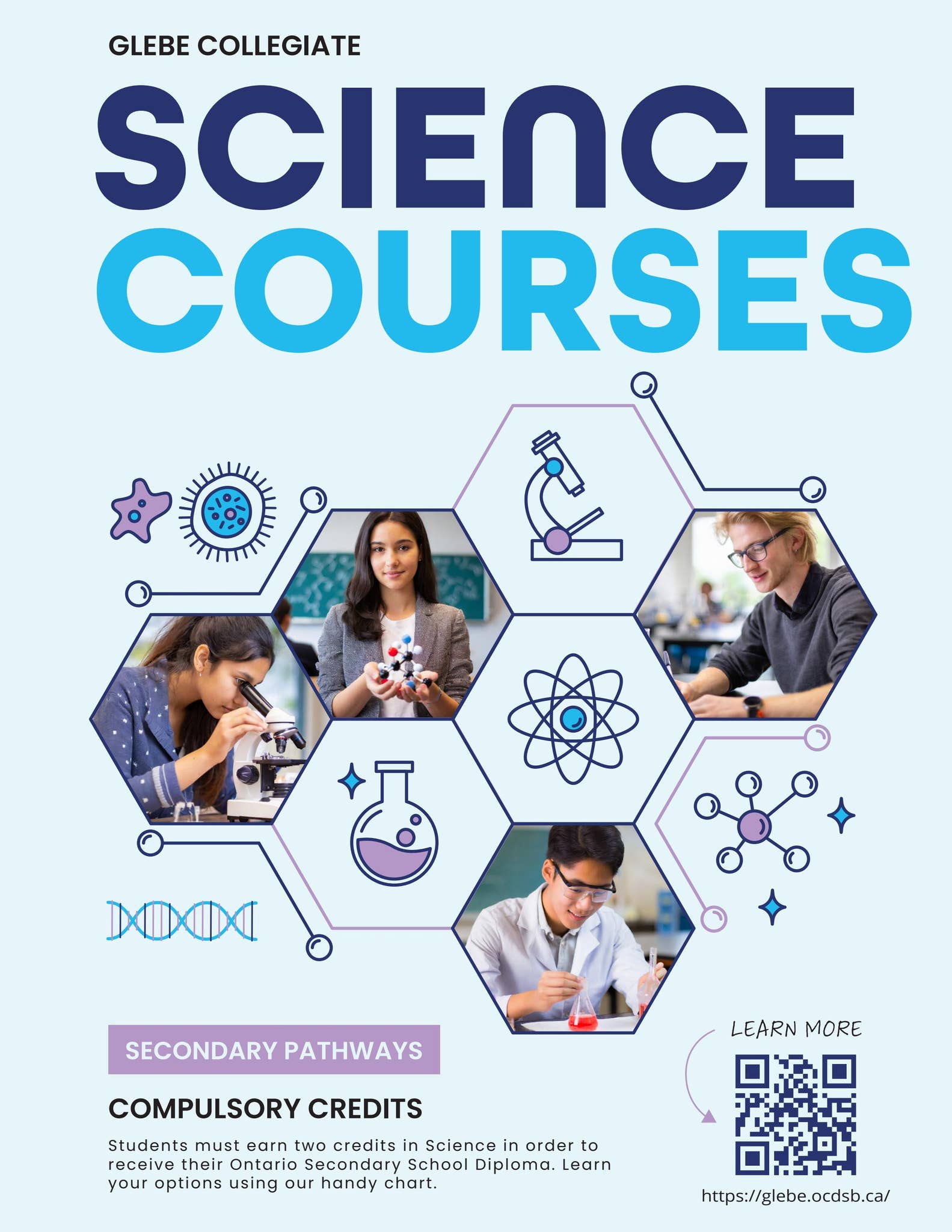 Glebe Collegiate - Science Courses by Scott Hughes - Issuu