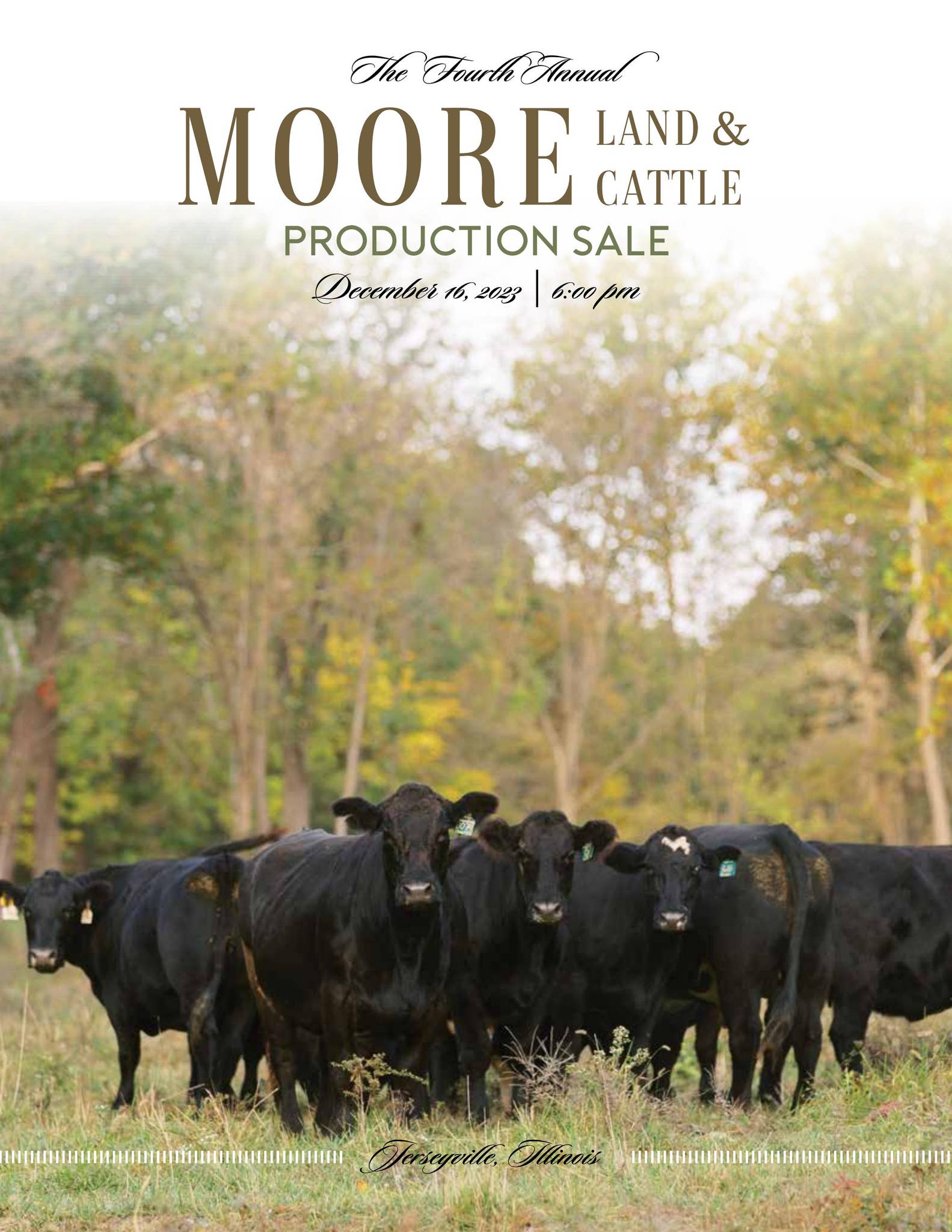 Moore Land & Cattle Fourth Annual Production Sale by Tracy McMurphy - Issuu