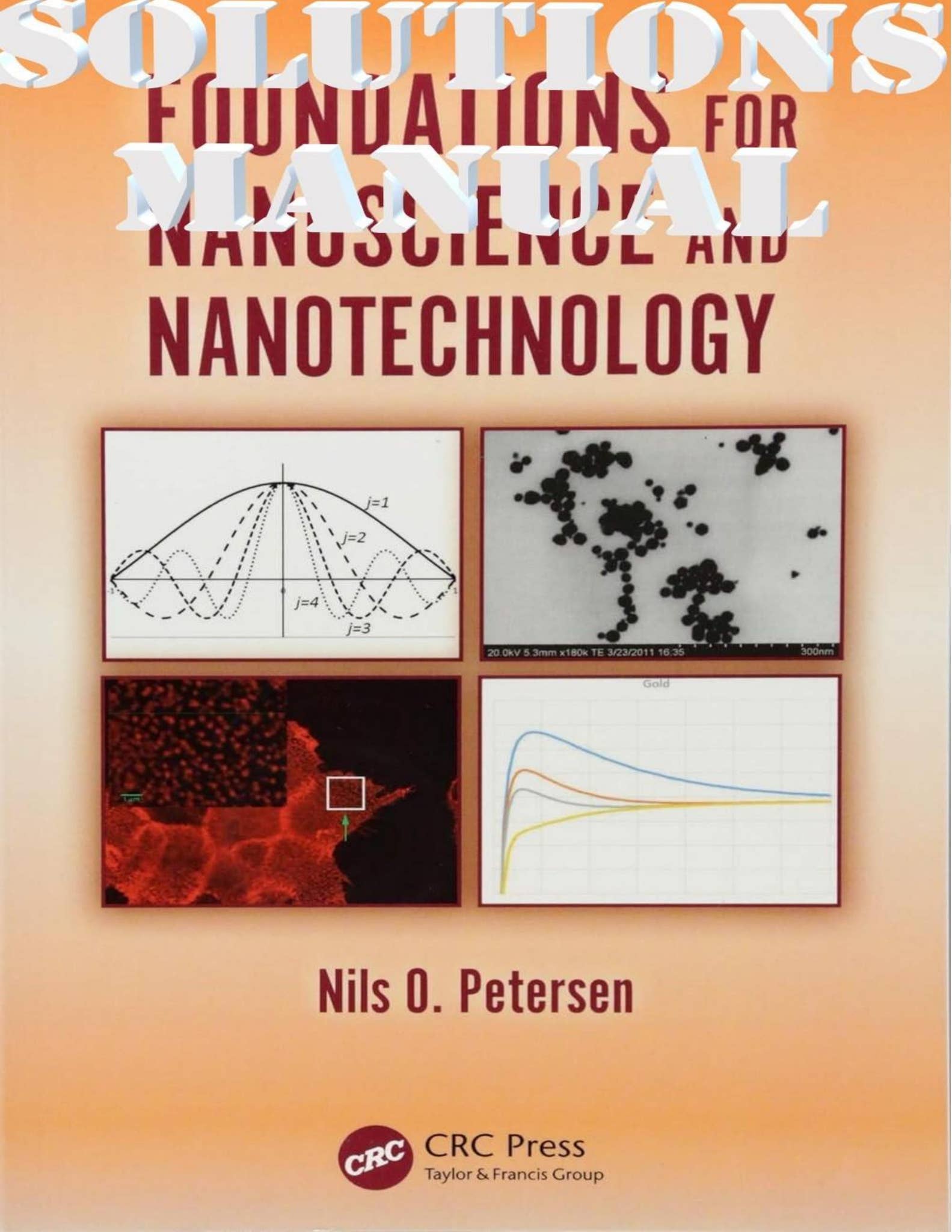 Foundations for Nanoscience and Nanotechnology 1st Edition by Nils ...