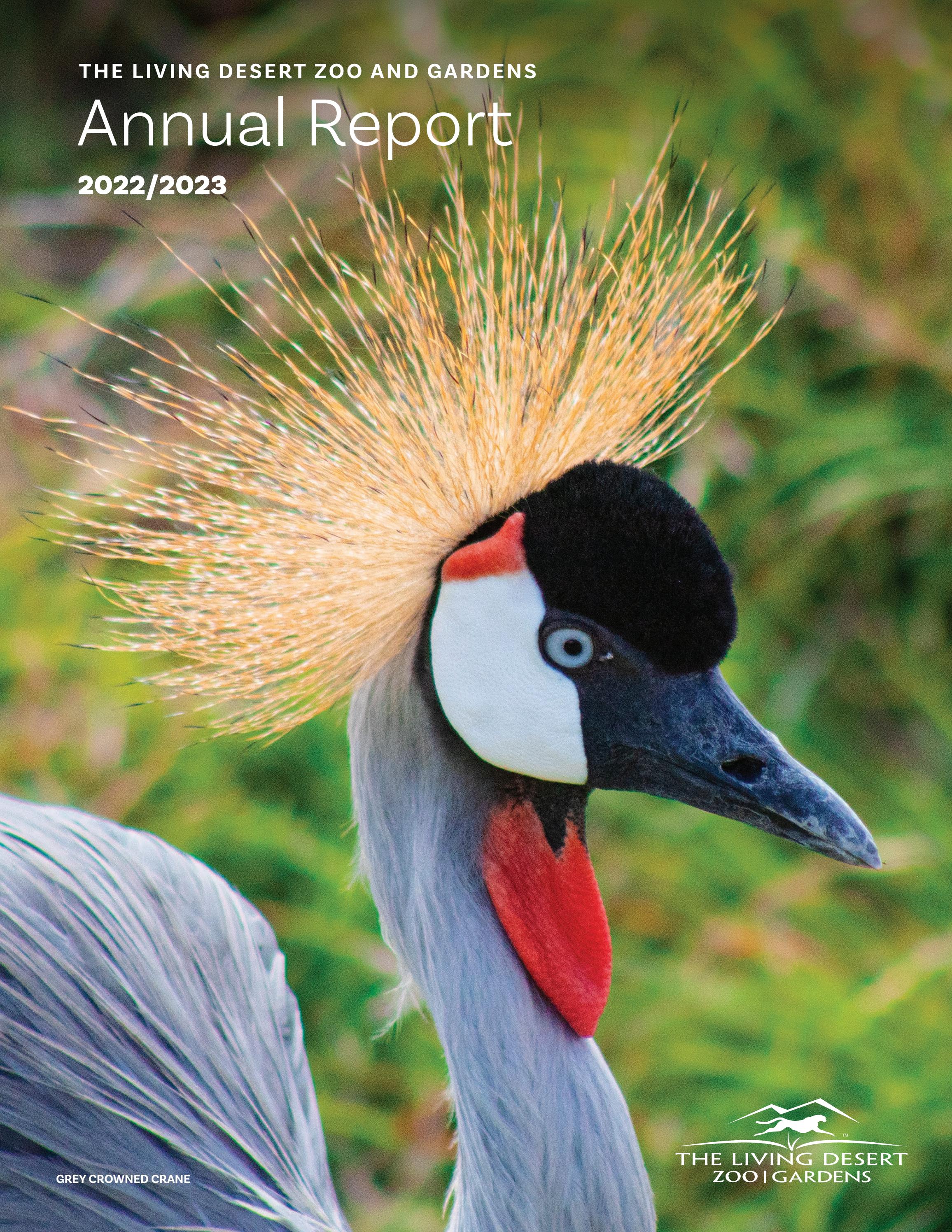 Annual Report 2022-2023 by the-livingdesert - Issuu