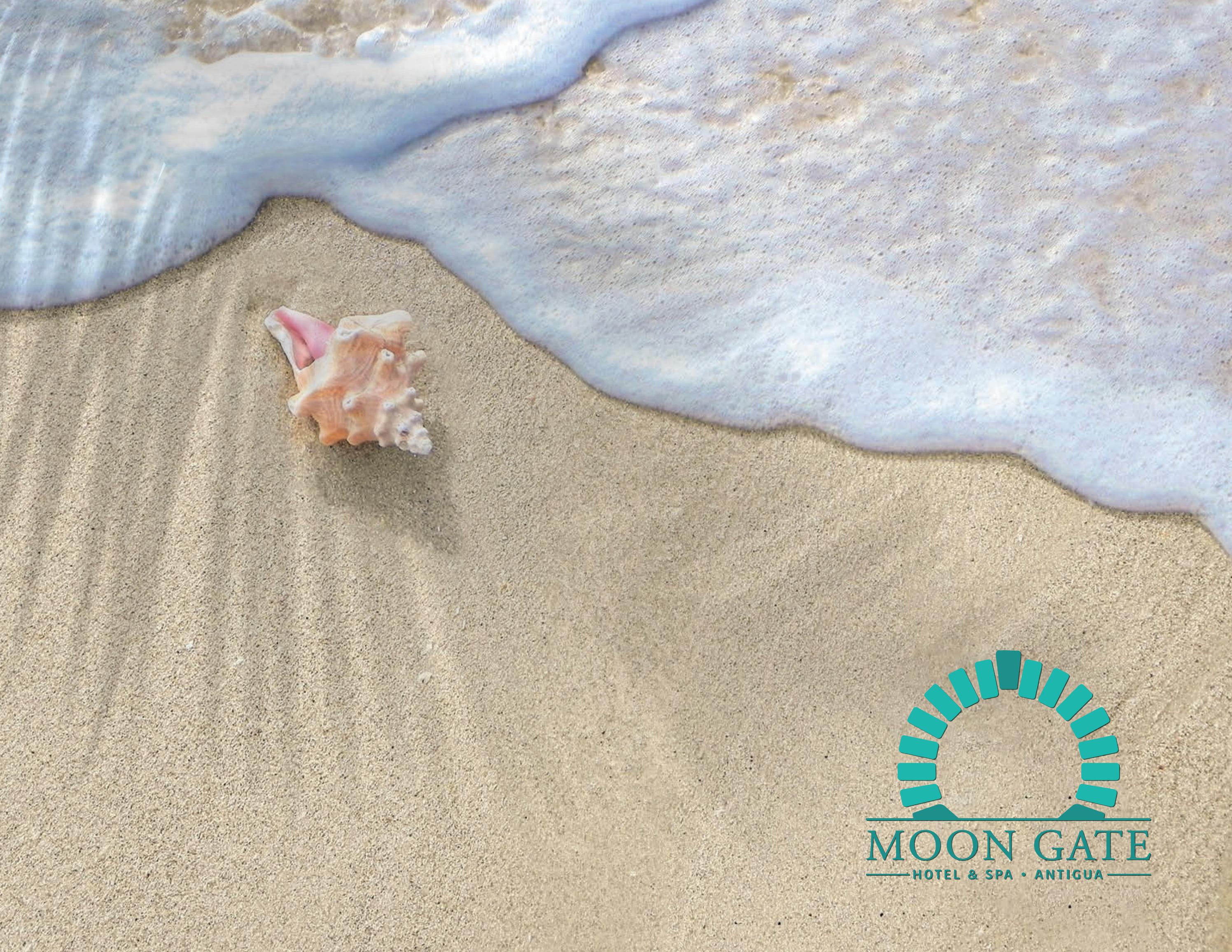 Moon Gate Hotel & Spa Brochure by Tropical Studios - Issuu