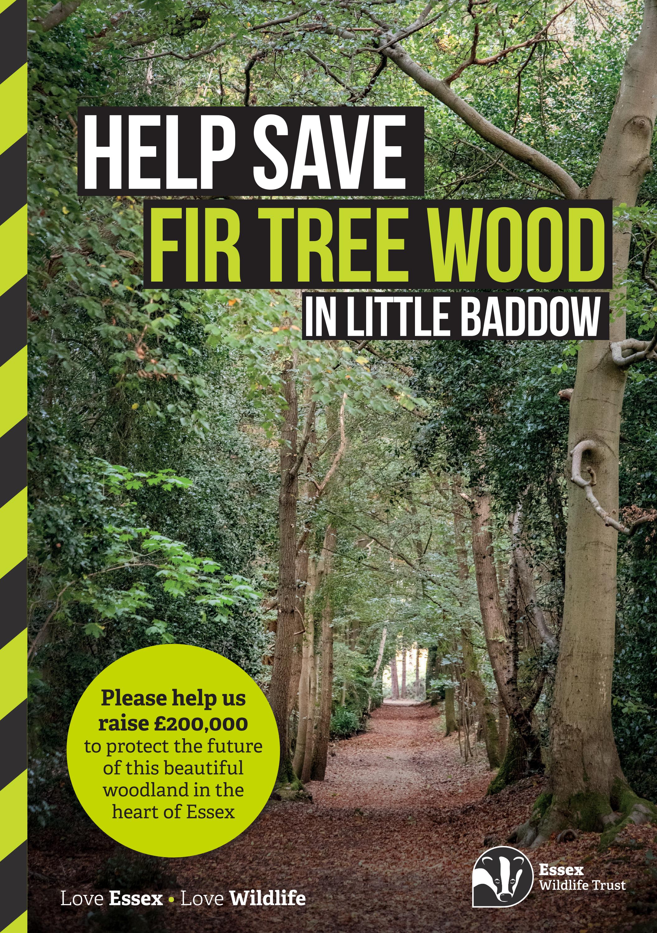 Essex Wildlife Trust Fir Tree Wood by essexwt - Issuu