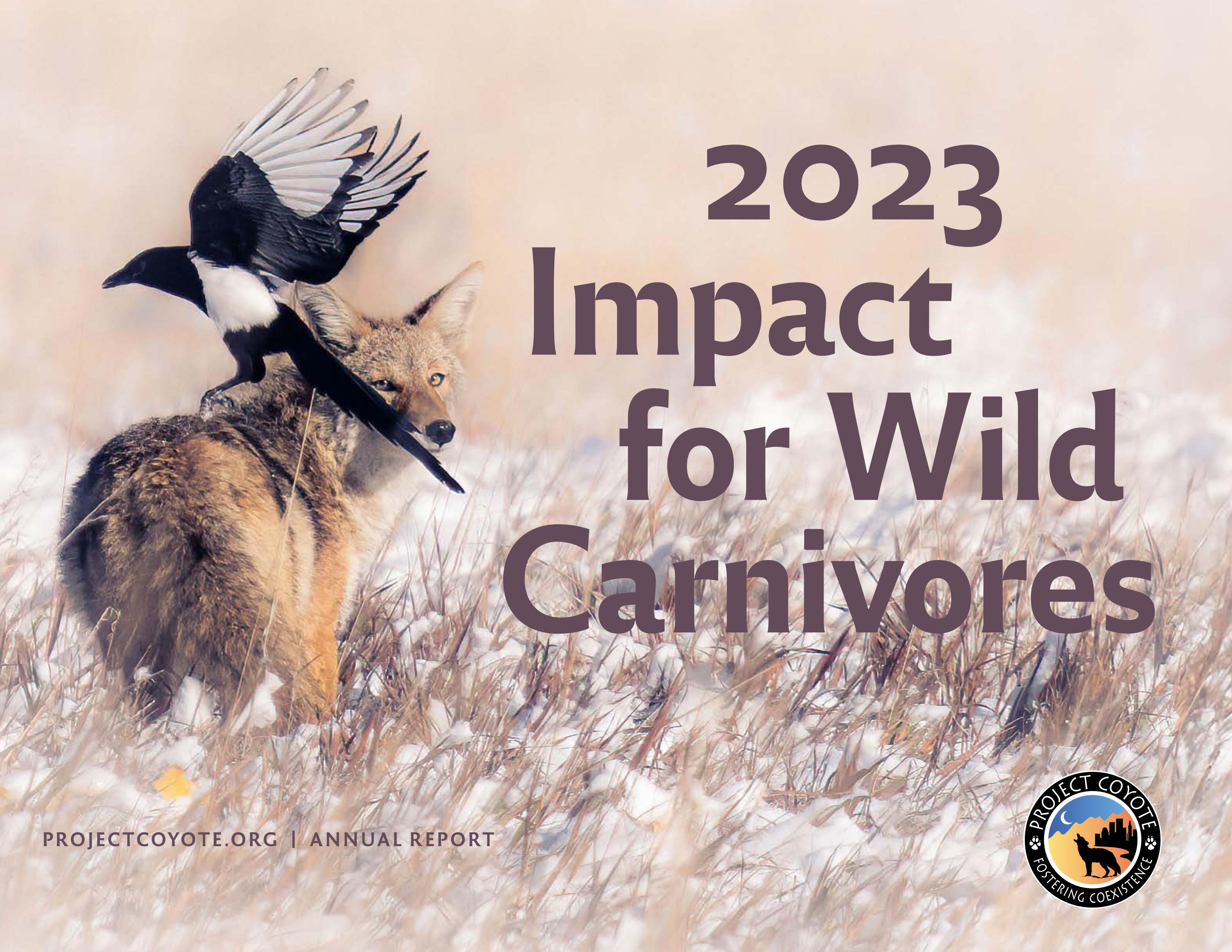 2023 Impact for Wild Carnivores by projectcoyote - Issuu