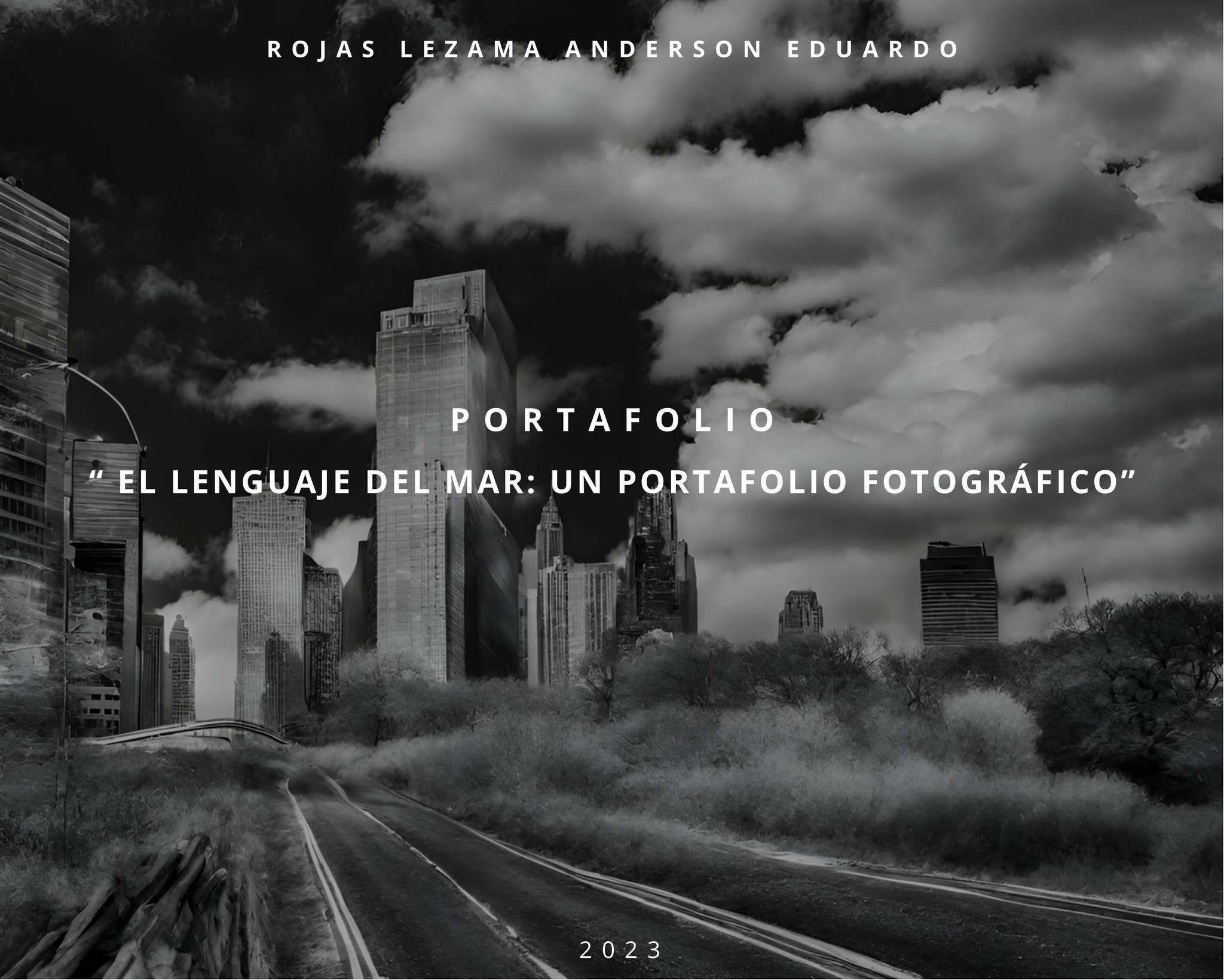 PORTAFOLIO PERSONAL - ANDERSON EDUARDO ROJAS LEZAMA by Anderson Eduardo ...