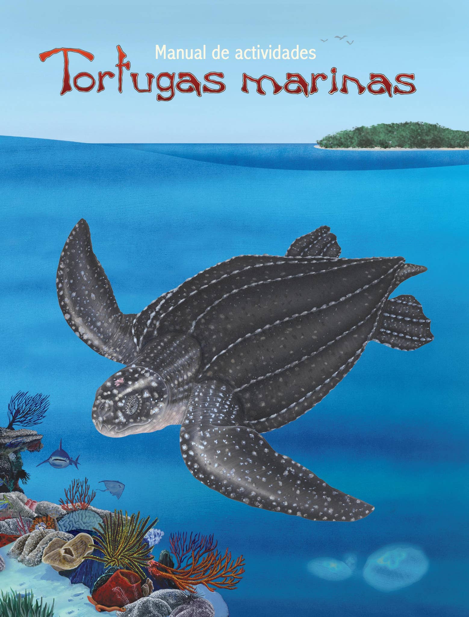 Manual de actividades Tortugas Marinas by Puerto Rico Sea Grant - Issuu
