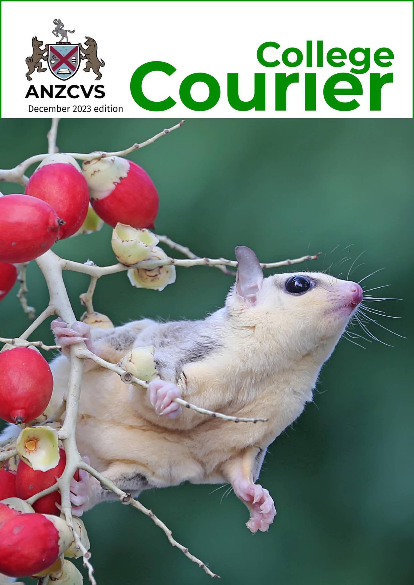ANZCVS December 2023 Courier by ANZCVS - Issuu