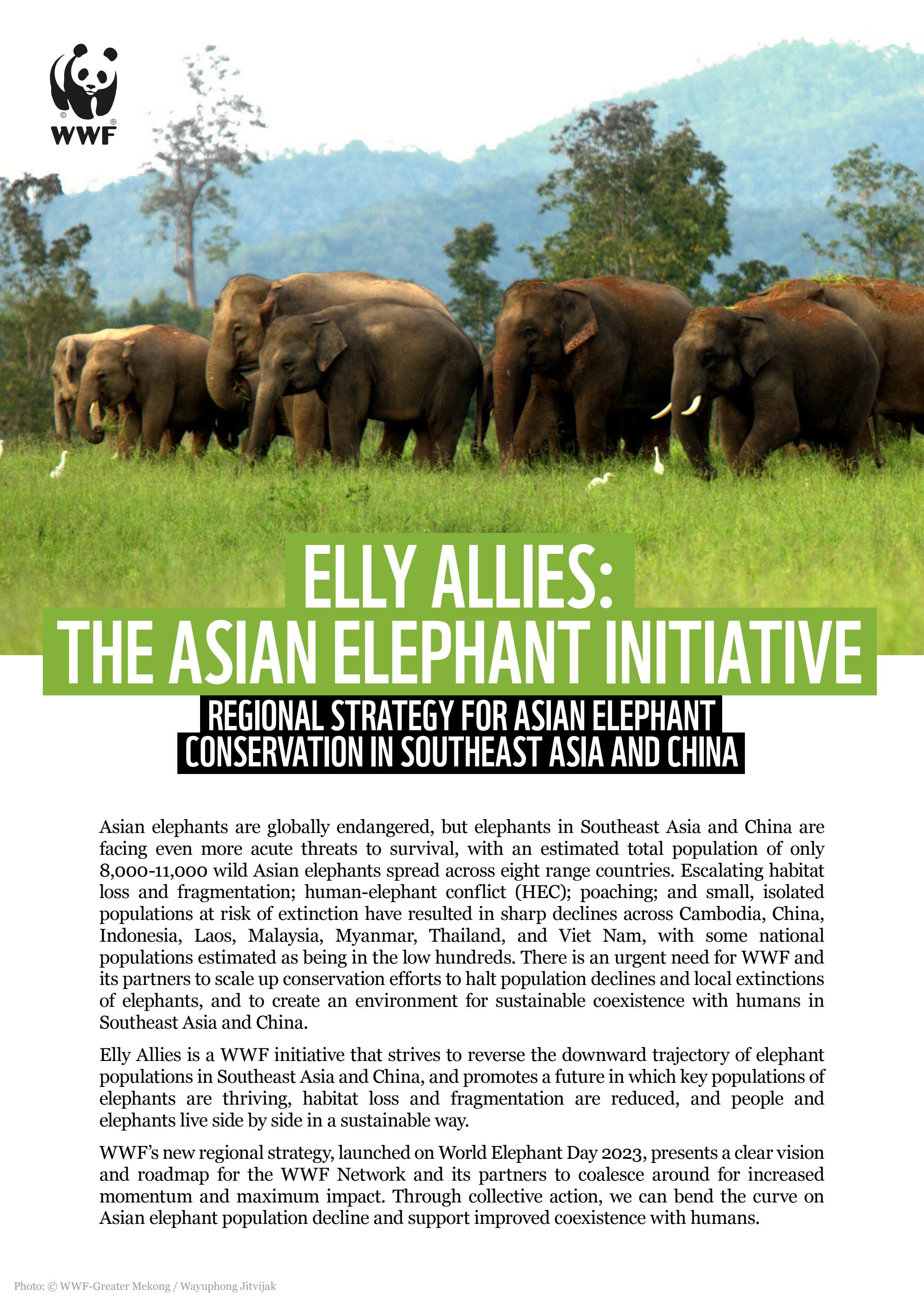 Elly Allies: Southeast Asian Elephant Initiative - Strategy Overview by ...