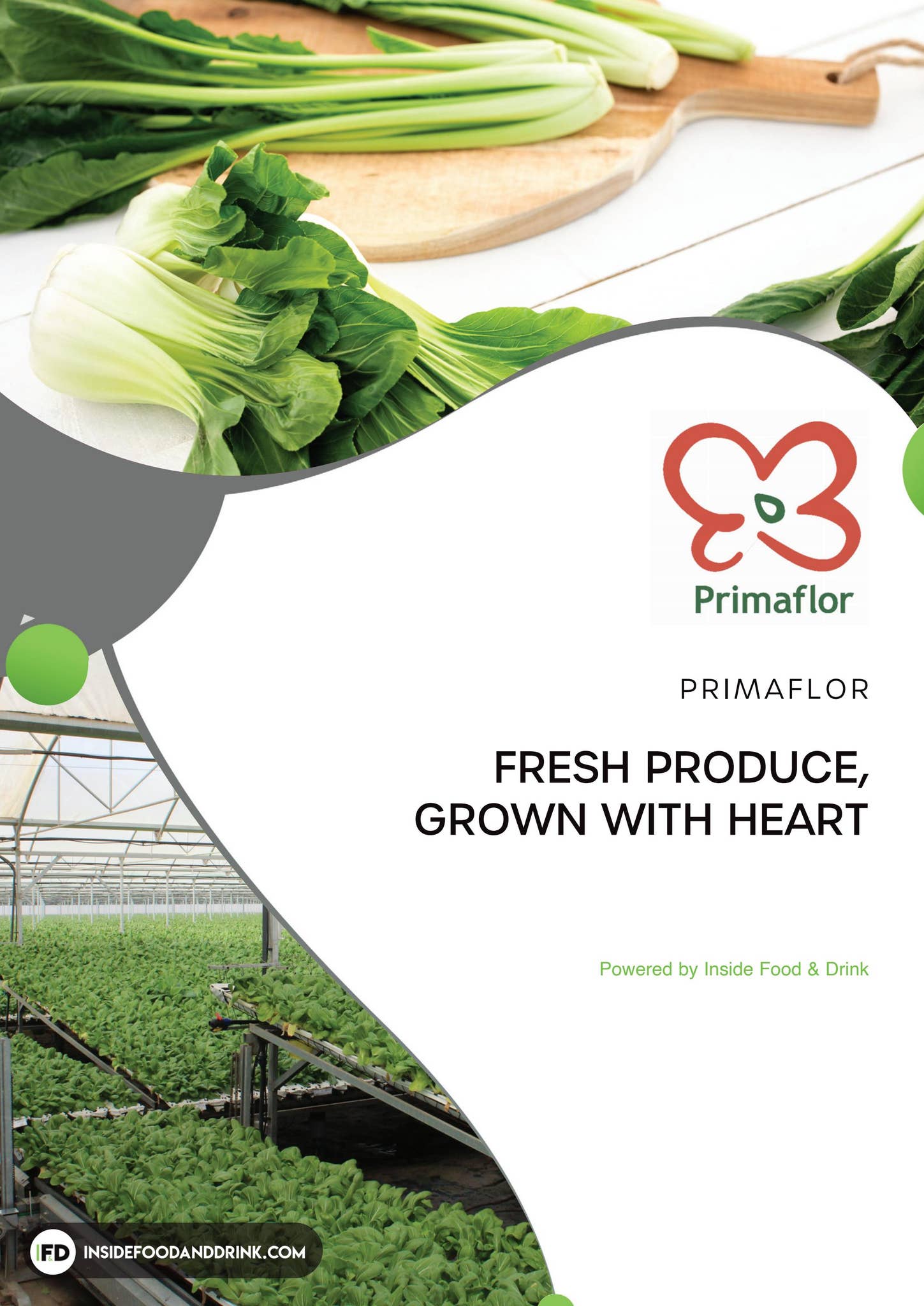 Primaflor by ProactivePublications - Issuu